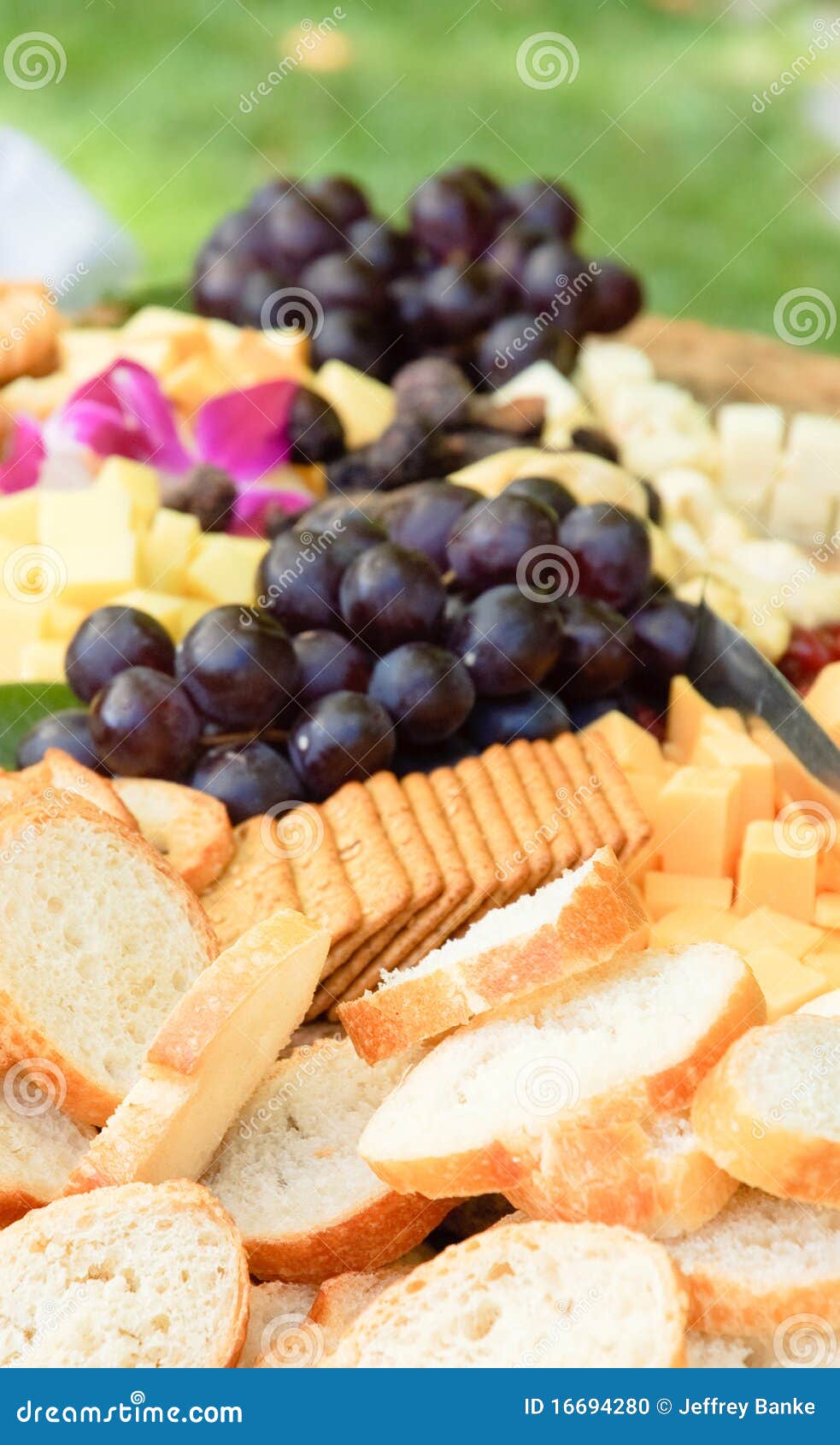 Bread Fruit Royalty-Free Stock Photo | CartoonDealer.com #88062027