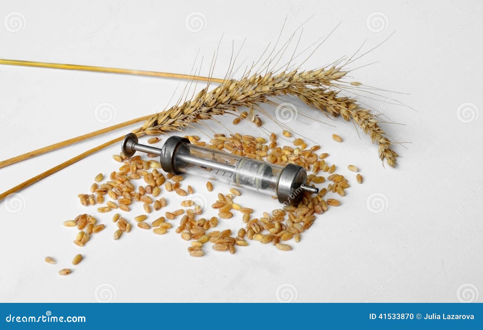 Bread gmo stock photo. Image of breakfast, corn, light - 41533870