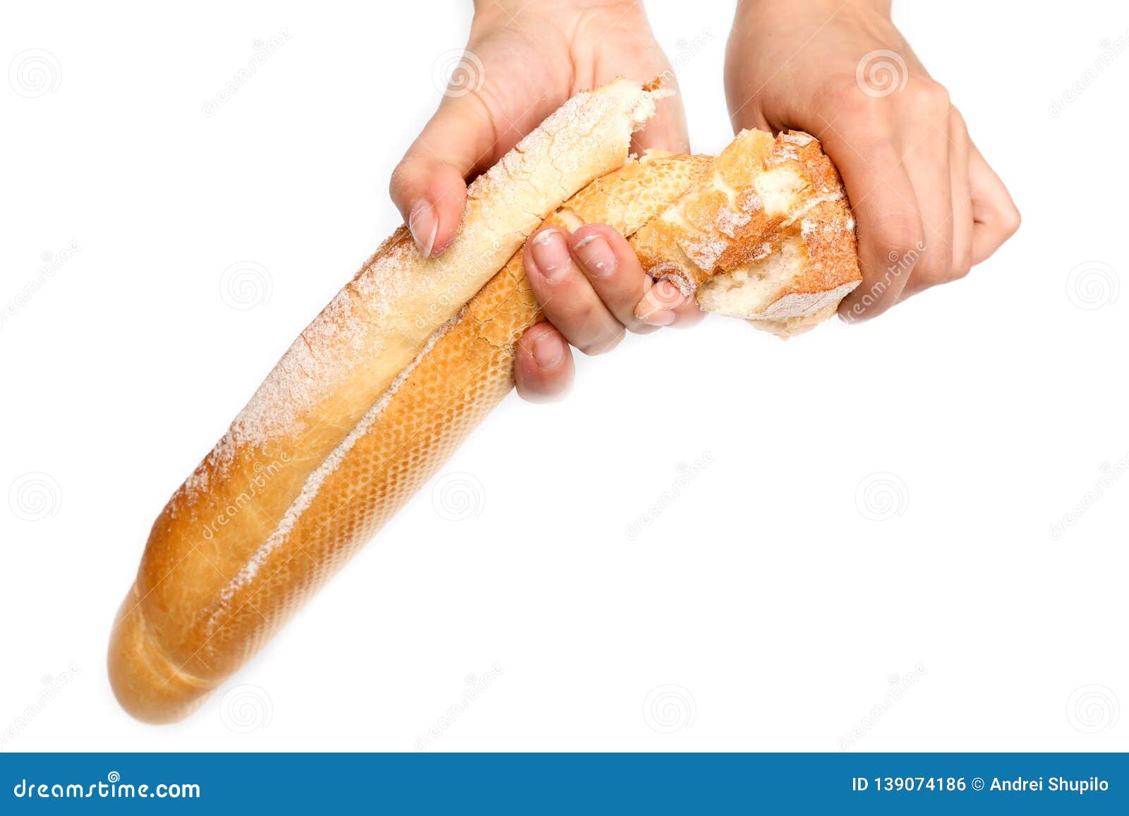 Bread in Hand on a White Background Stock Photo - Image of tearing ...
