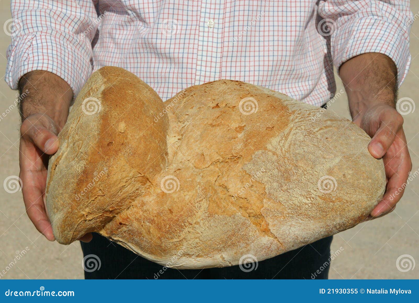 Bread in hands stock image. Image of human, baking, food - 21930355