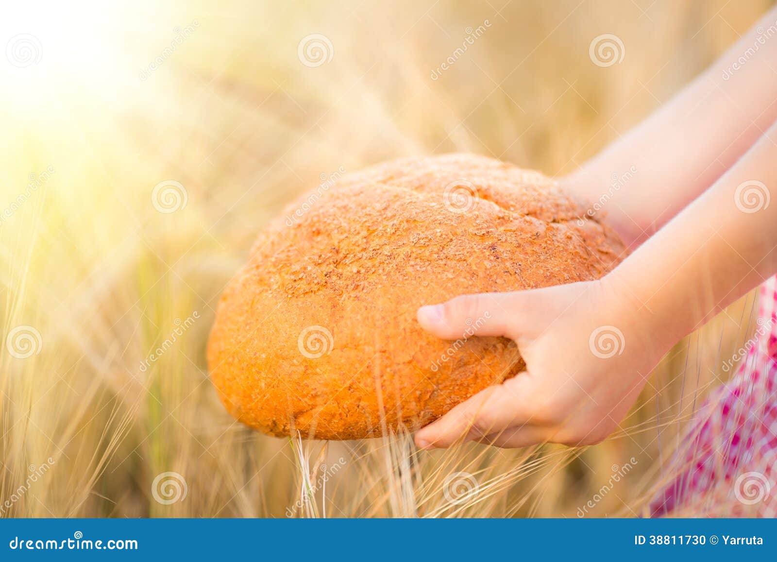 Bread in hands stock photo. Image of gold, eating, outside - 38811730