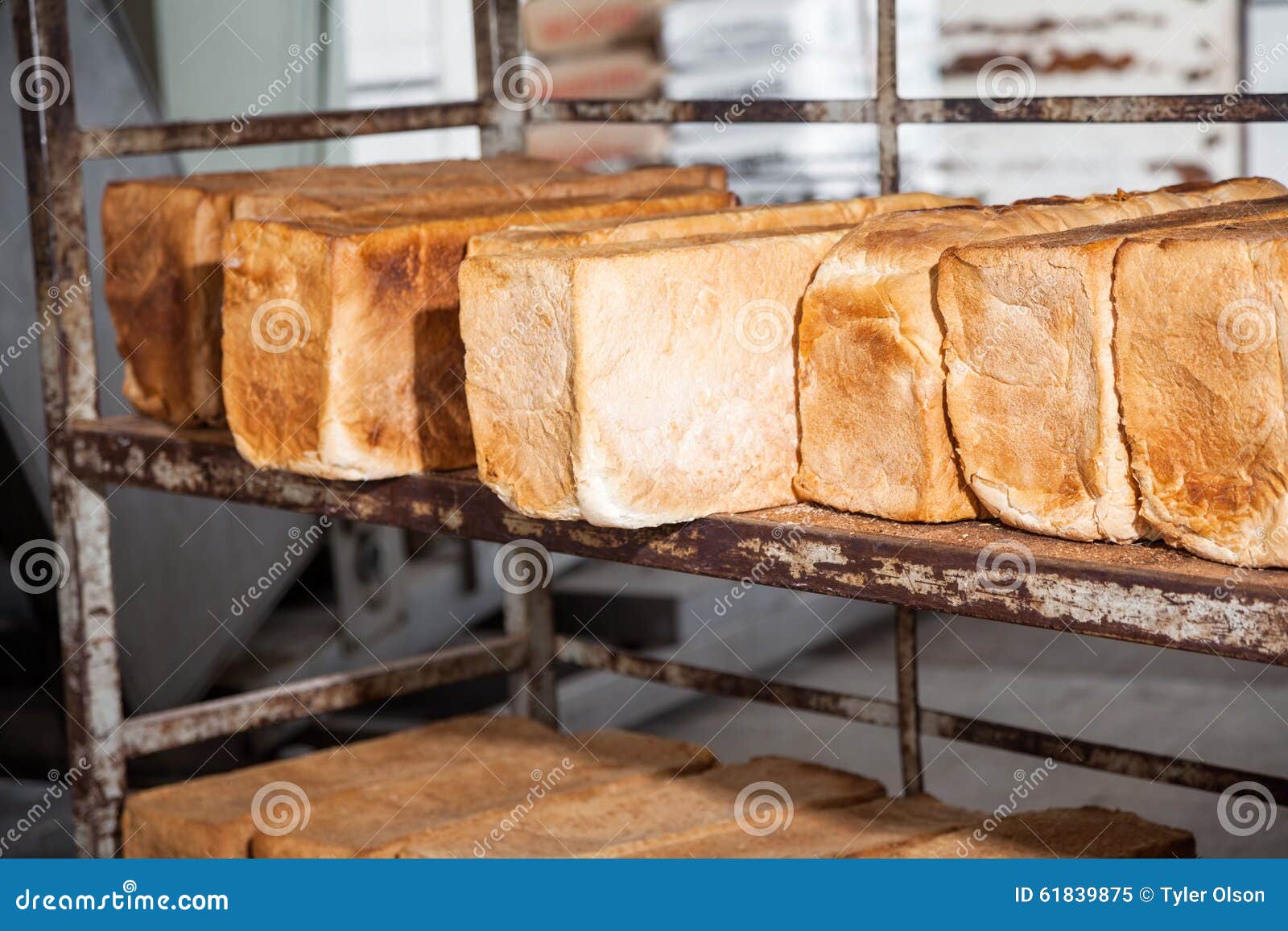 Bread Loaves on Metallic Rack Stock Image - Image of loaves, metallic ...