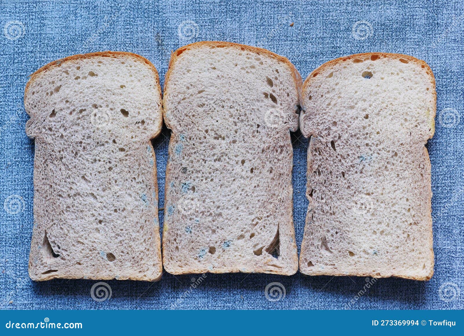 Bread with Mildew. Spoiled Products Stock Photo - Image of danger ...