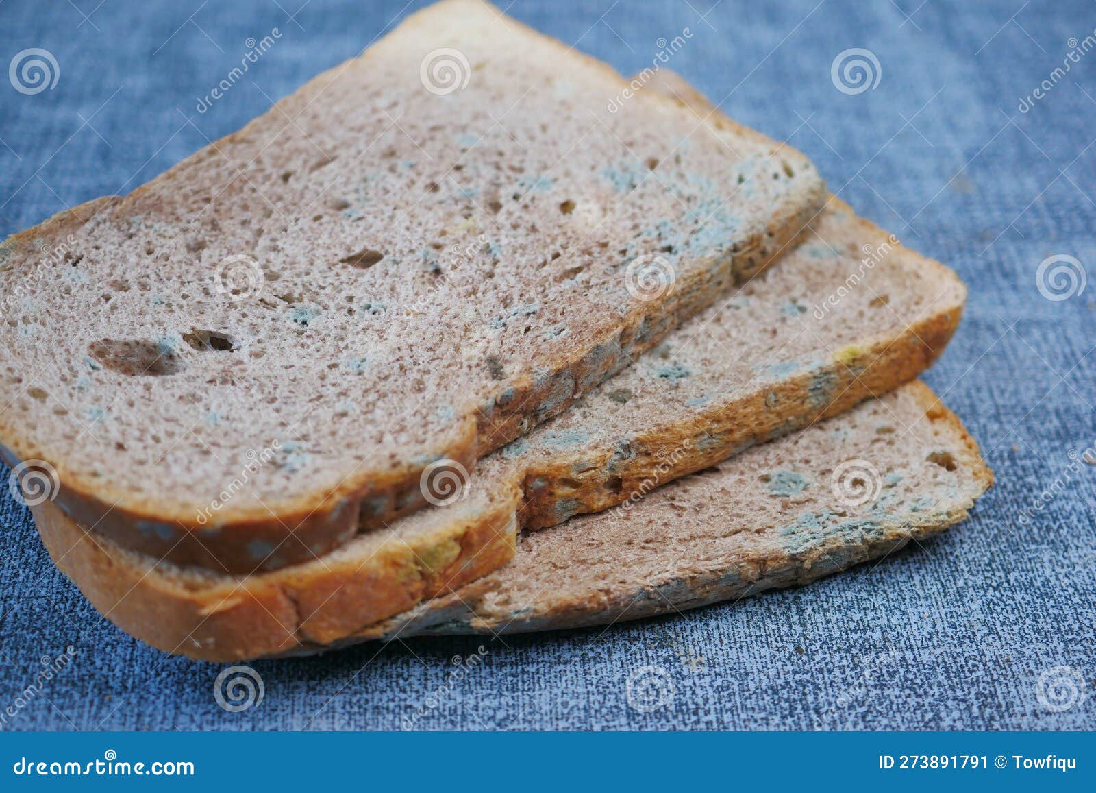 Bread with Mildew. Spoiled Products Stock Image - Image of pollution ...