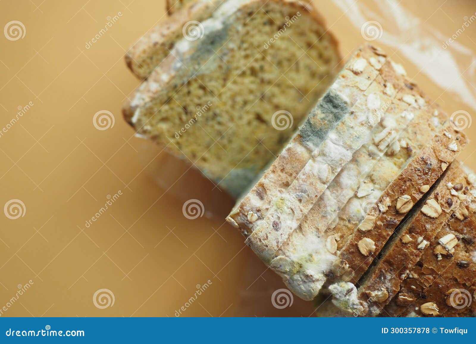 Bread with Mildew. Spoiled Products Stock Photo - Image of poisonous ...