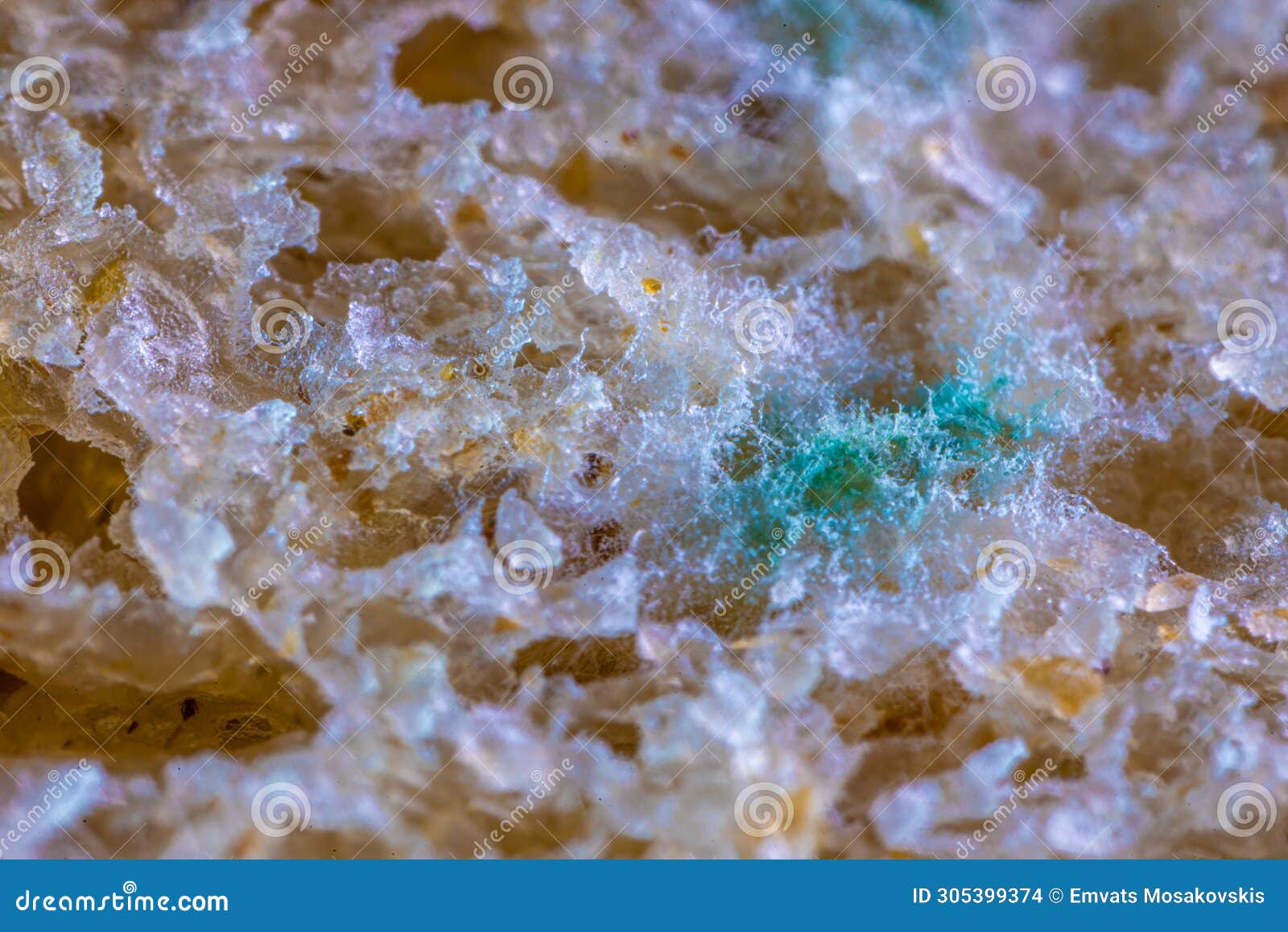 Bread Mold. Beautiful Mold. Mold Spores, Macro. Mold is Light, Yellow ...