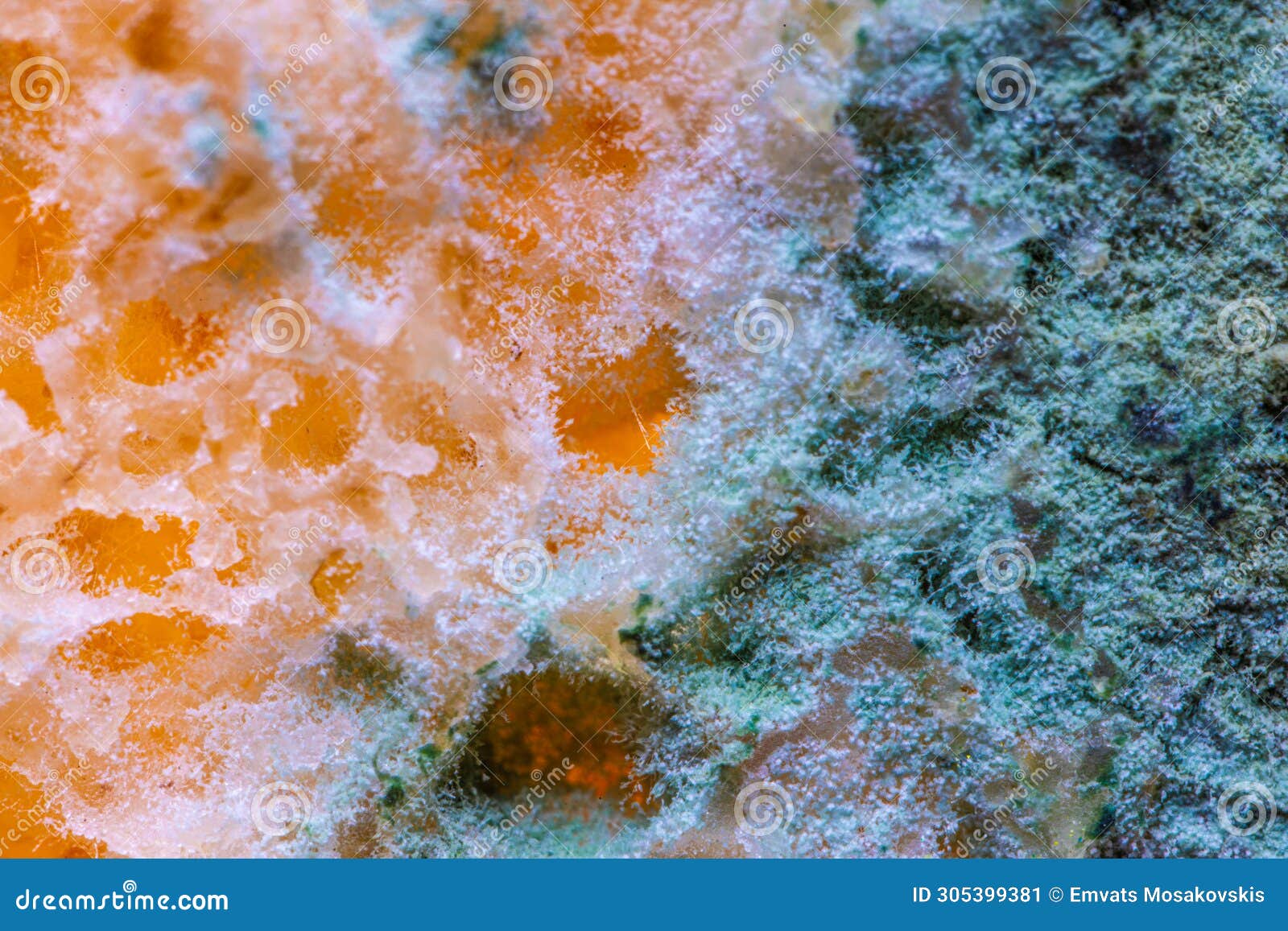 Bread Mold. Beautiful Mold. Mold Spores, Macro. Mold is Light, Yellow ...