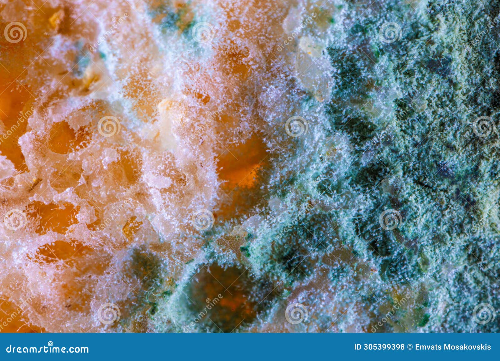 Bread Mold. Beautiful Mold. Mold Spores, Macro. Mold is Light, Yellow ...