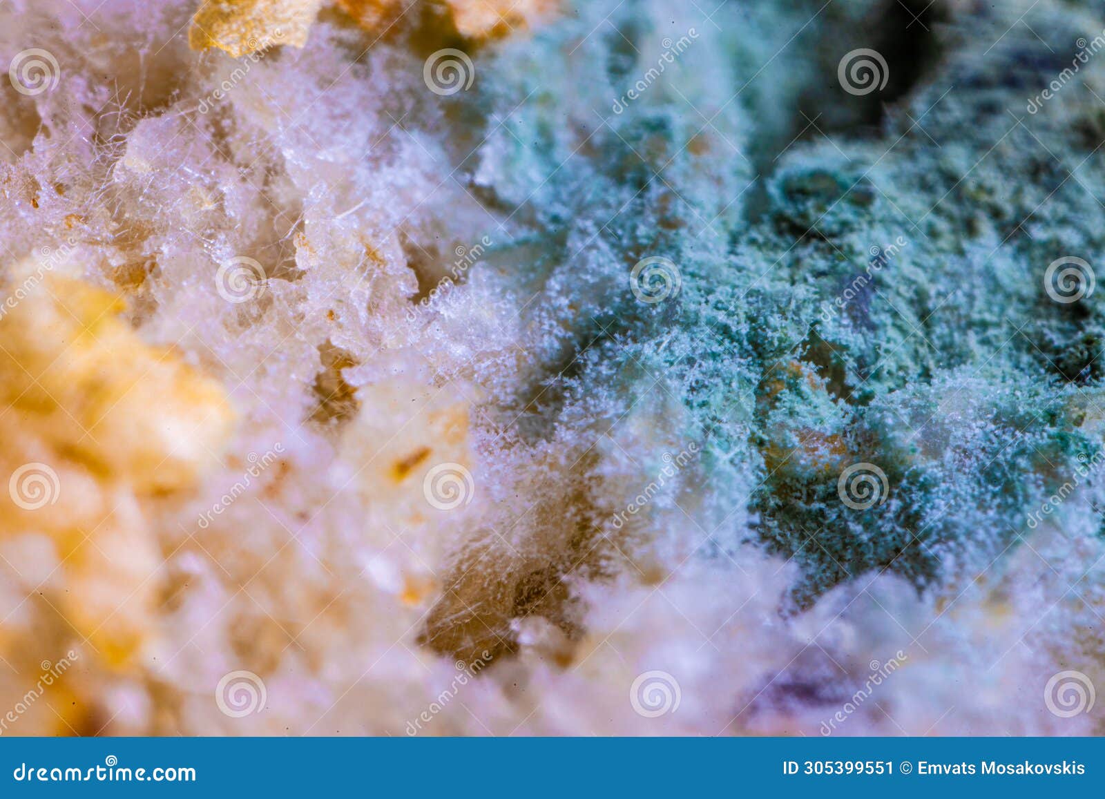 Bread Mold. Beautiful Mold. Mold Spores, Macro. Mold is Light, Yellow ...