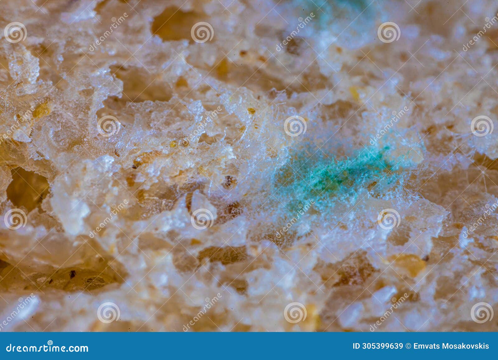 Bread Mold. Beautiful Mold. Mold Spores, Macro. Mold is Light, Yellow ...