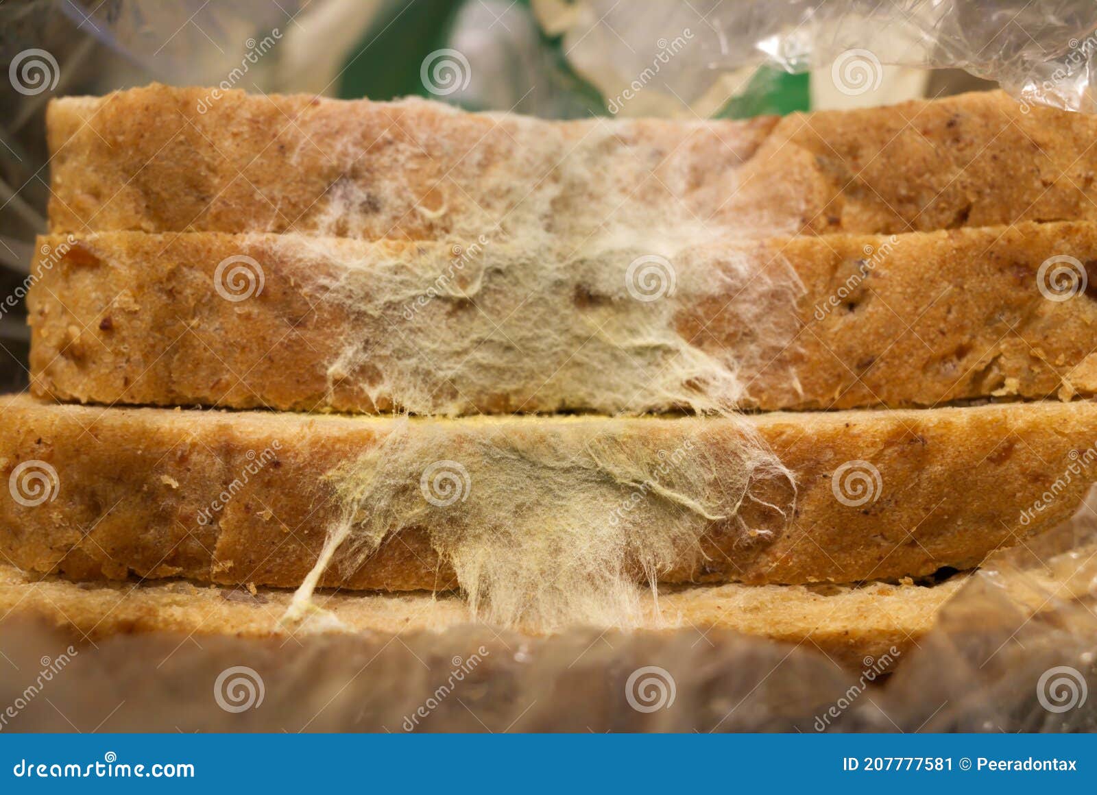 Bread Mold Fungus on Stack of Whole Wheat Bread. Stock Image - Image of ...
