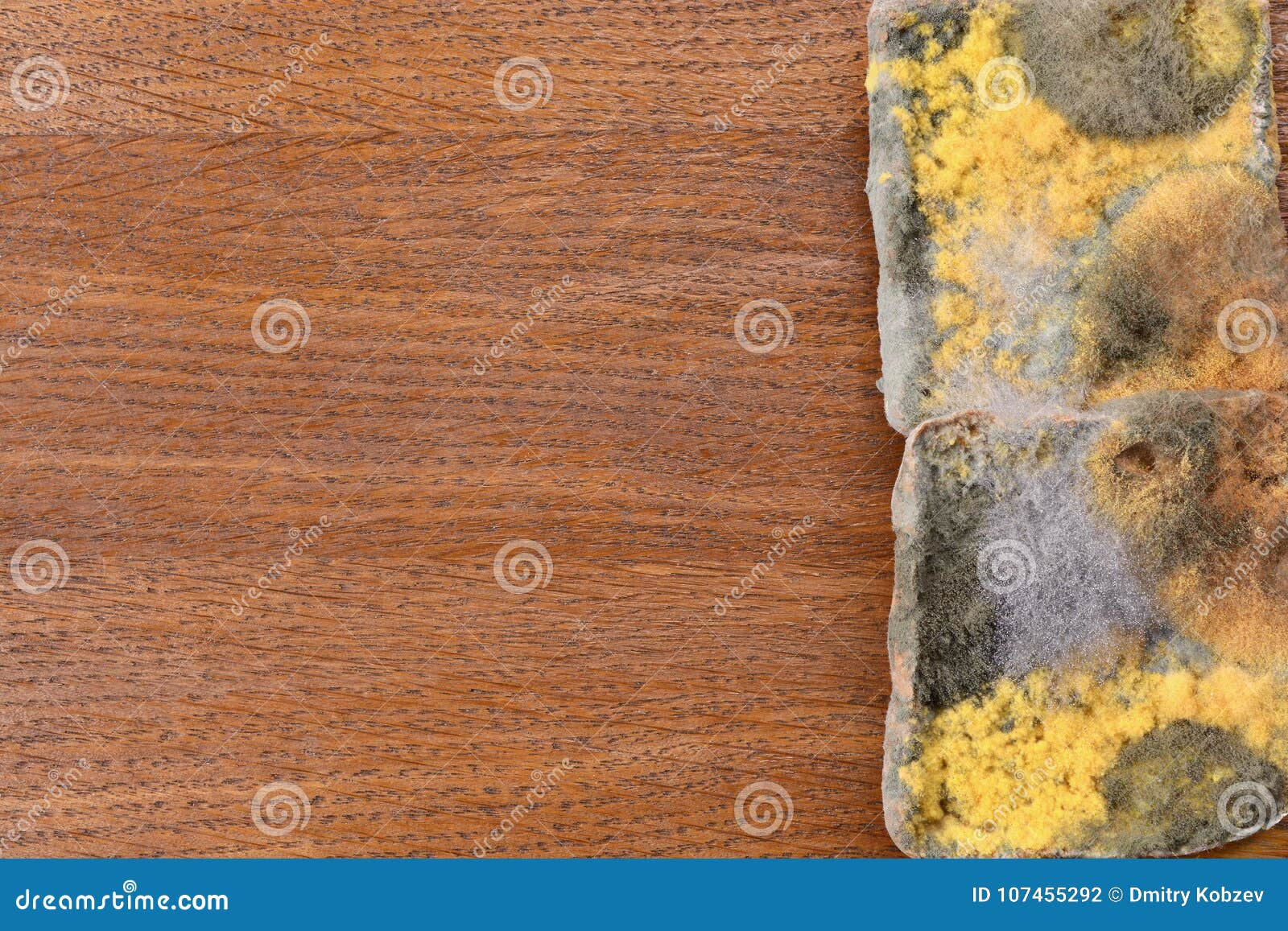 Bread with a Mold on an Oak Table Stock Photo - Image of mold, biology ...