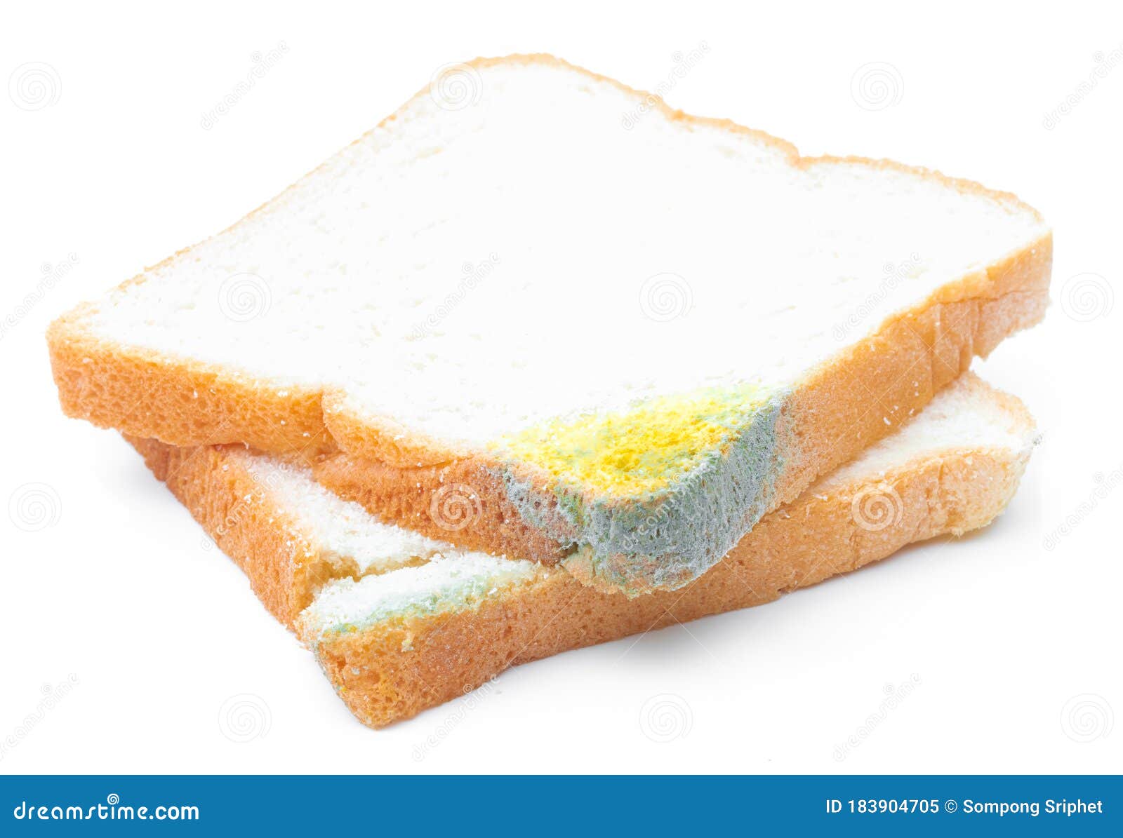 Bread Molded on White Background Stock Image - Image of meal, mildew ...