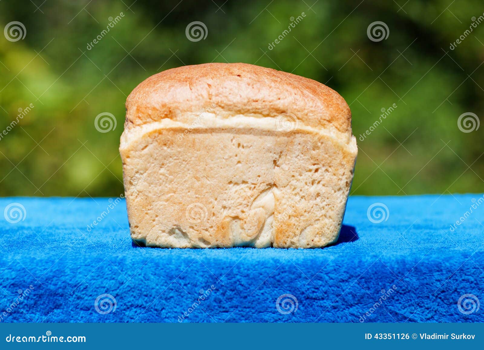 Bread outdoors stock photo. Image of delicious, bread - 43351126