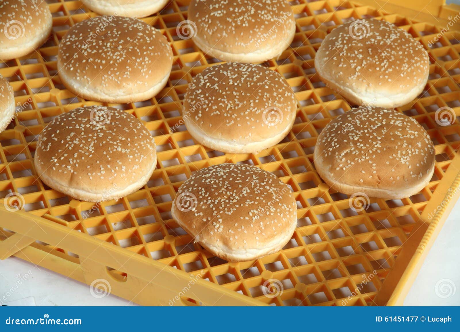 Bread in Plastic Crate on White Stock Image - Image of vegetable, bread ...