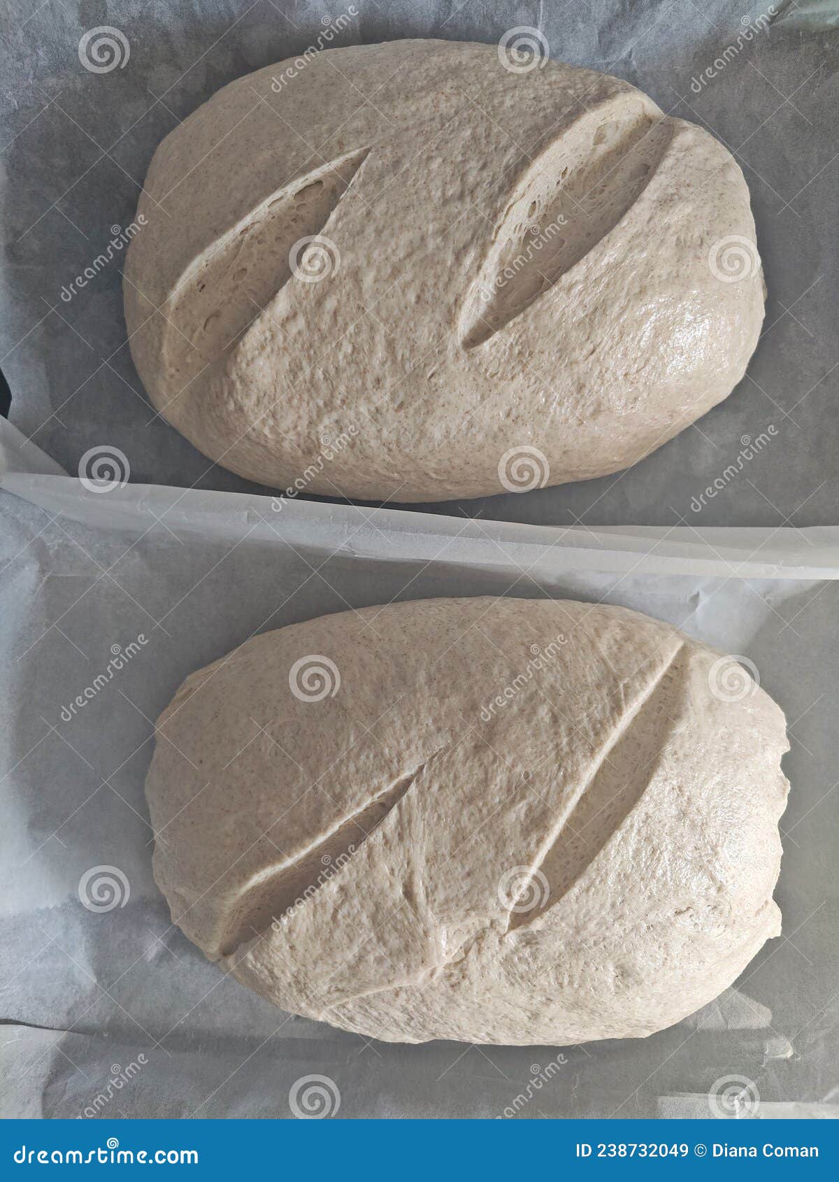 Bread Preparation - Uncooked Bread on the Table Stock Image - Image of ...