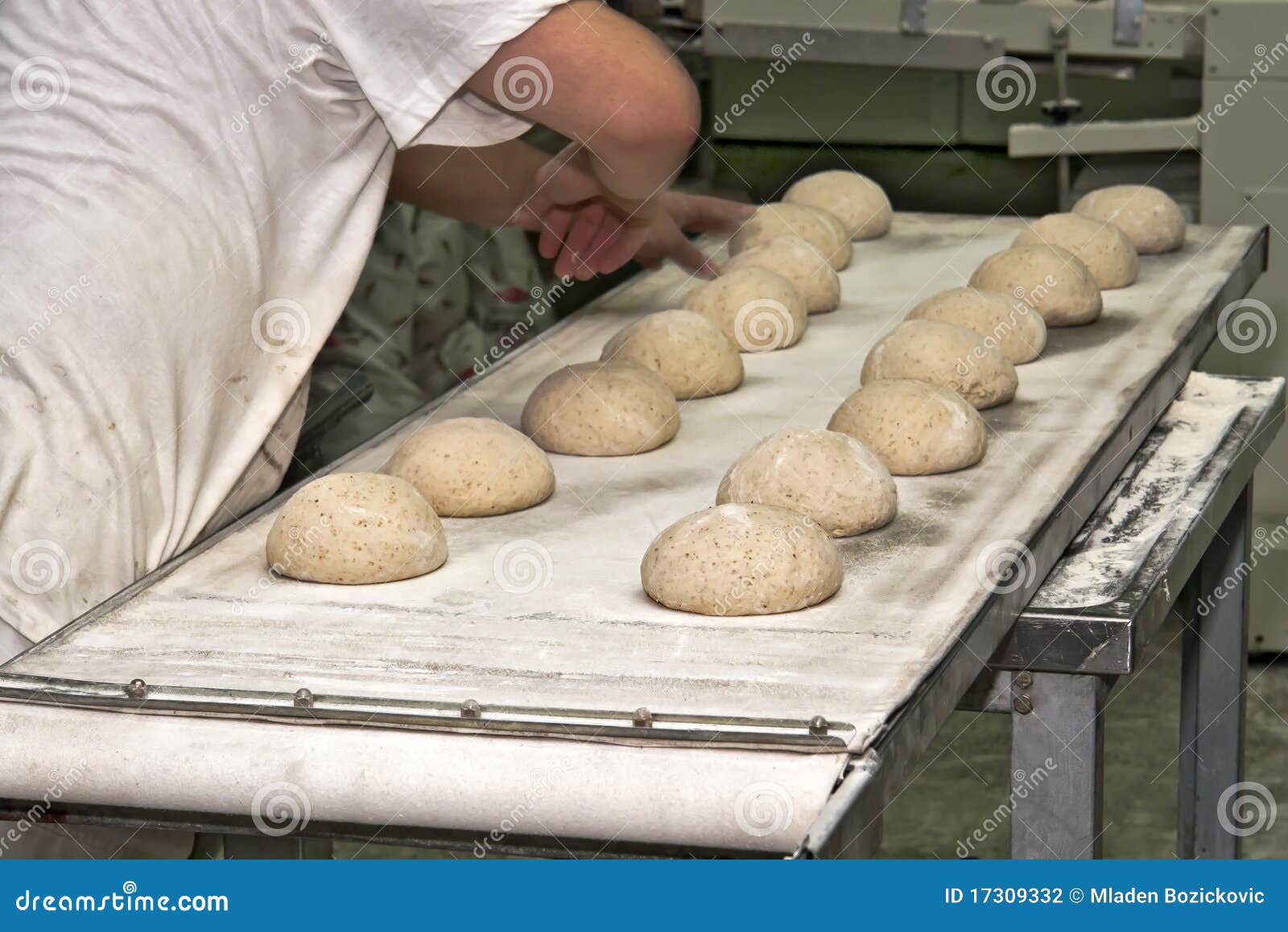 Bread Production Stock Photography - Image: 17309332
