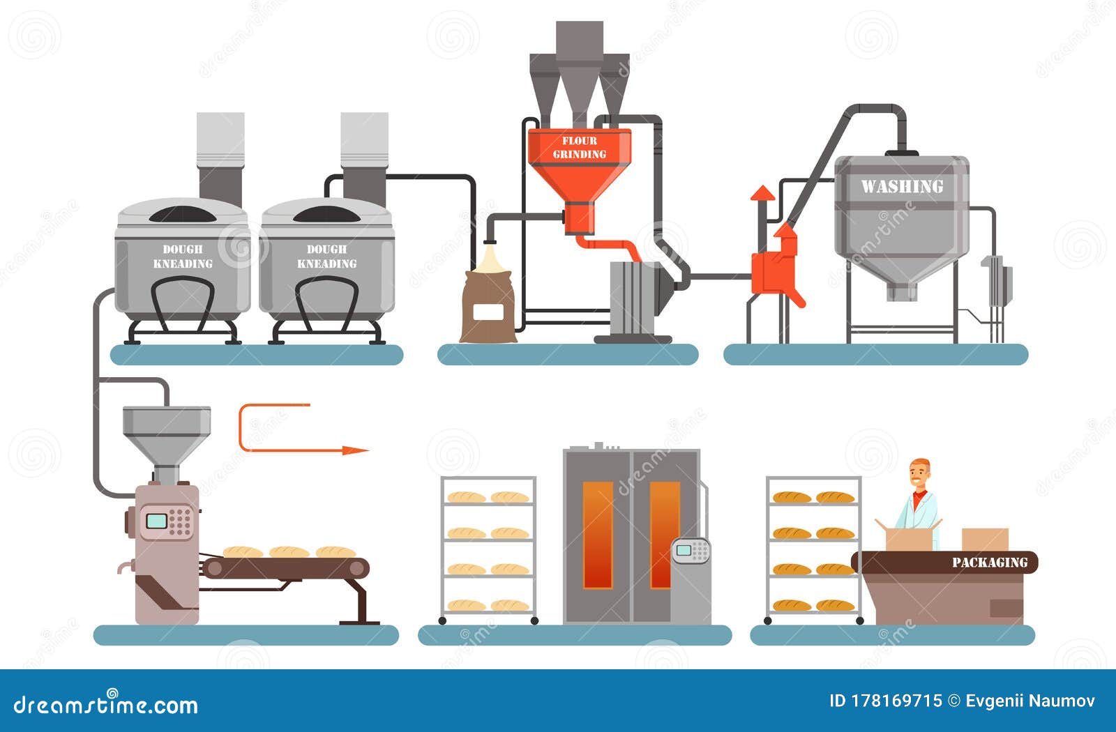 Bread Production Process Stages From Wheat Harvest To Freshly Baked ...