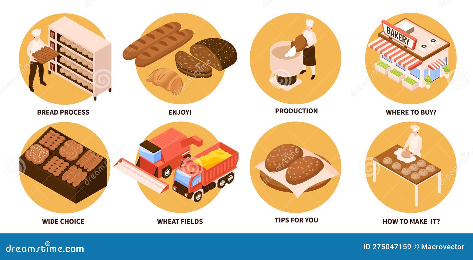 Bread Production Process With Automated Processing Line Vector ...