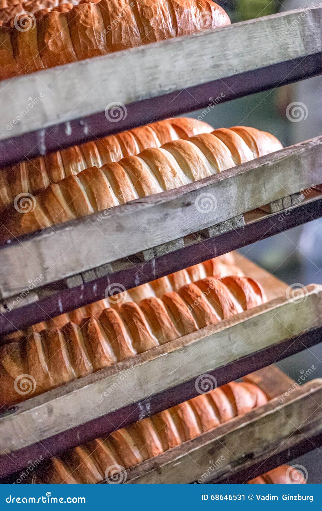 Bread on the Shelf at Bread Factory Stock Image - Image of nourishment ...