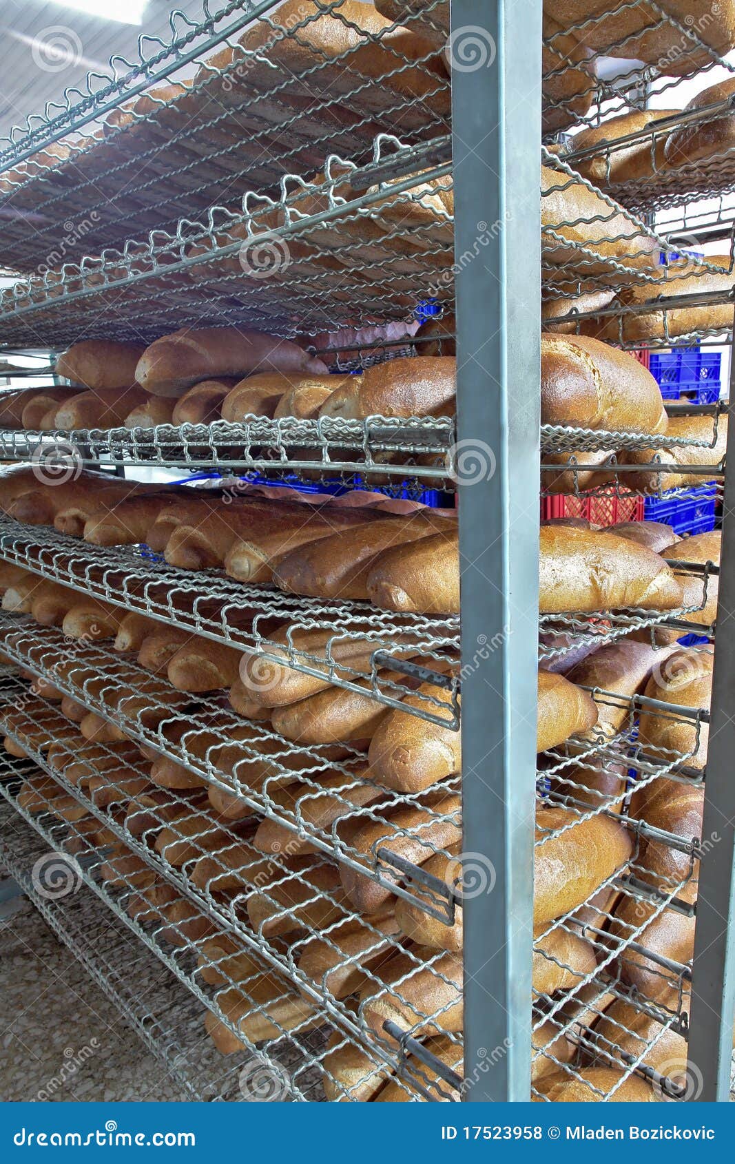Bread on shelves stock photo. Image of breads, aroma - 17523958