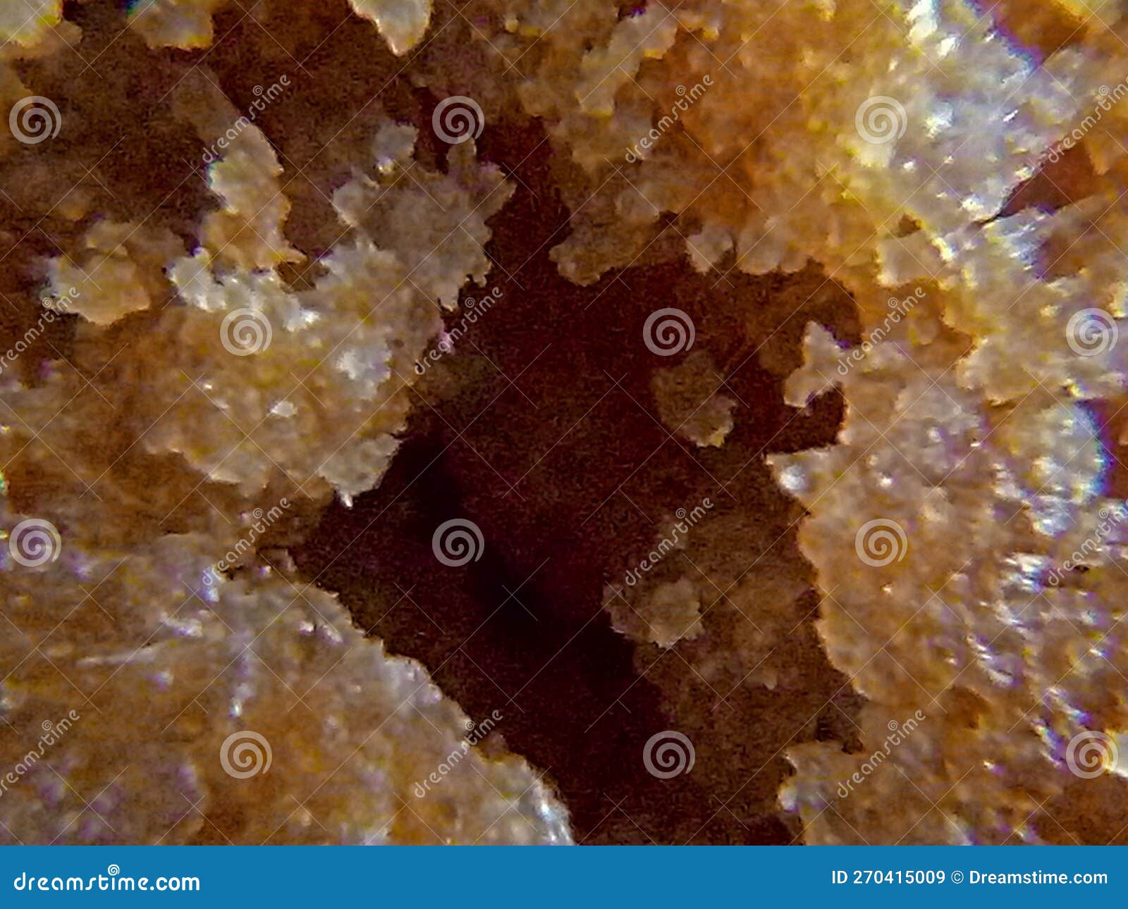 Bread Shot - Close-up through a Microscope Stock Image - Image of ...