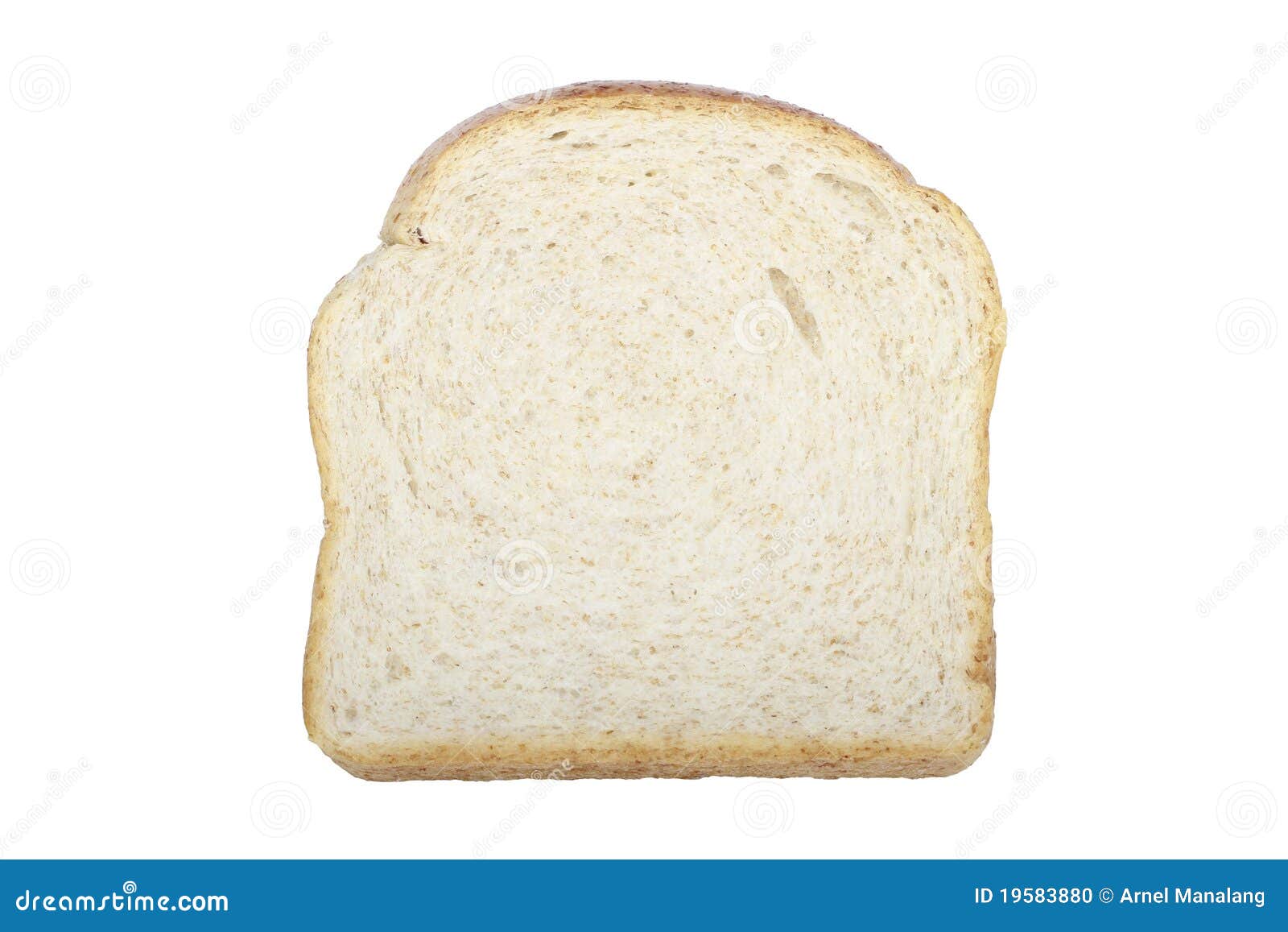 Bread Slice stock photo. Image of isolated, brown, bread - 19583880