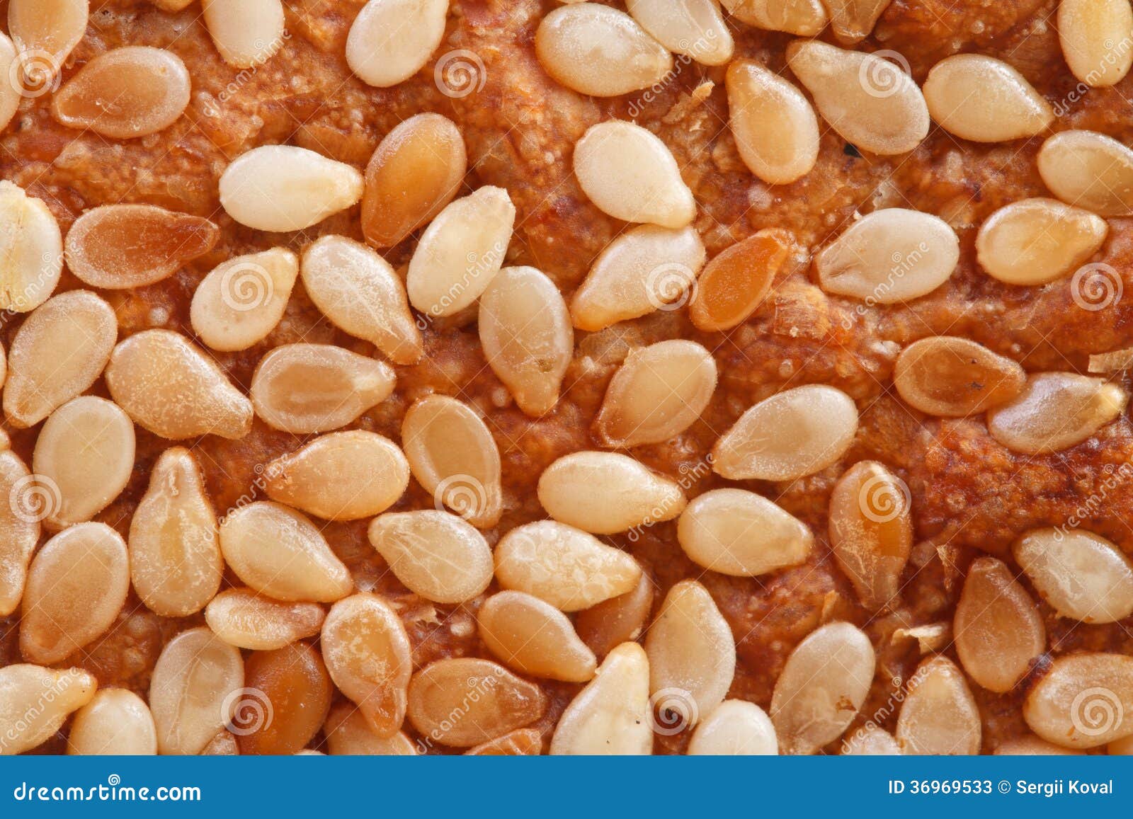 Bread Sprinkled with Sesame Seeds Close-up Stock Image - Image of ...