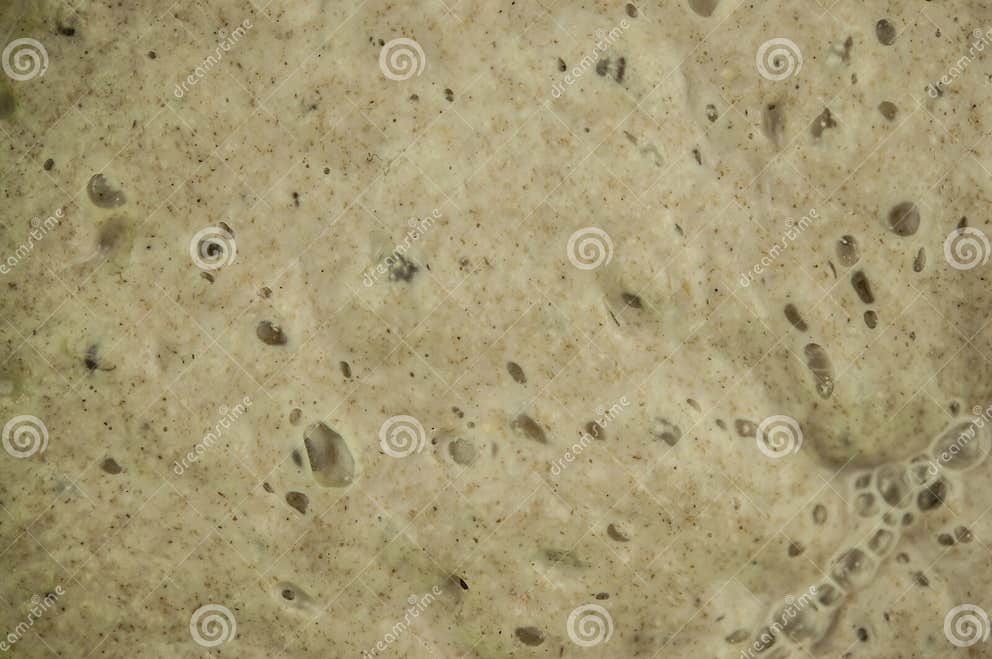 Bread Starter. Close Up Shot of Bread Dough Texture. Air Bubbles from ...