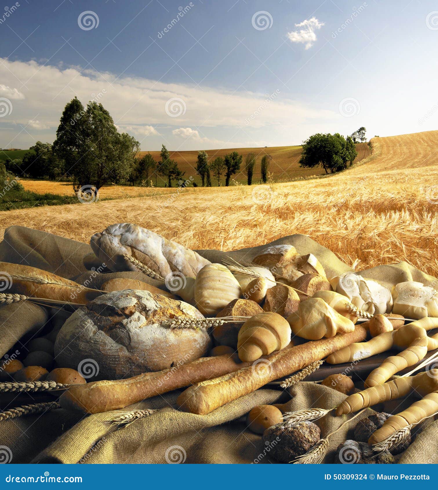 Bread stock photo. Image of grain, background, crispy - 50309324