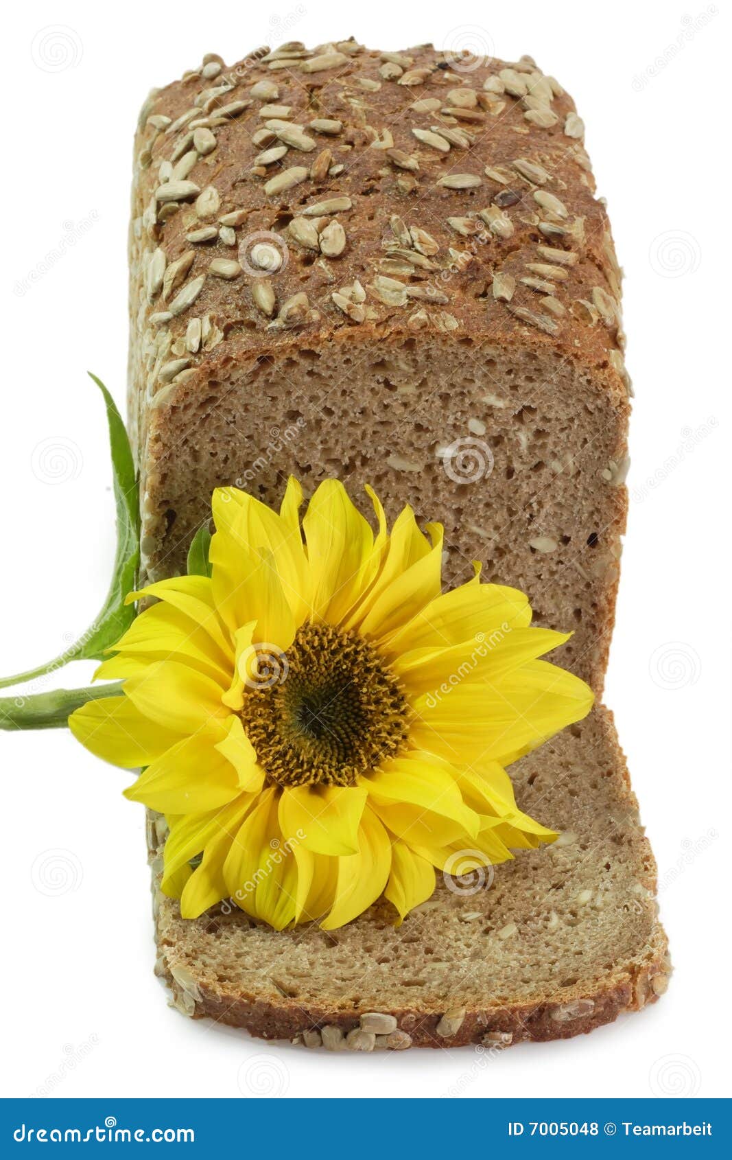 Bread with Sunflower stock photo. Image of bread, sunflower - 7005048