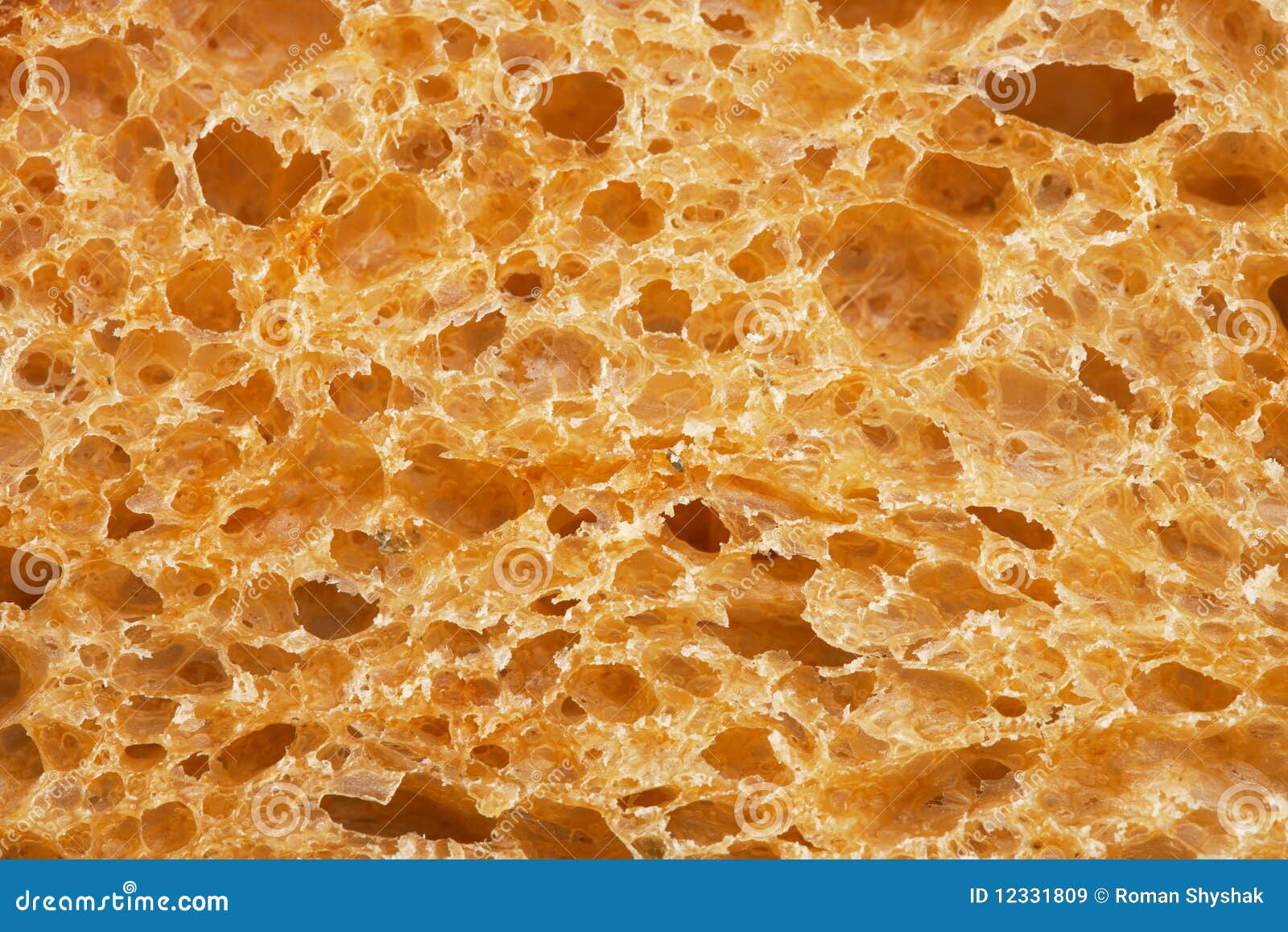 Bread Texture. stock image. Image of white, corn, simplicity - 12331809