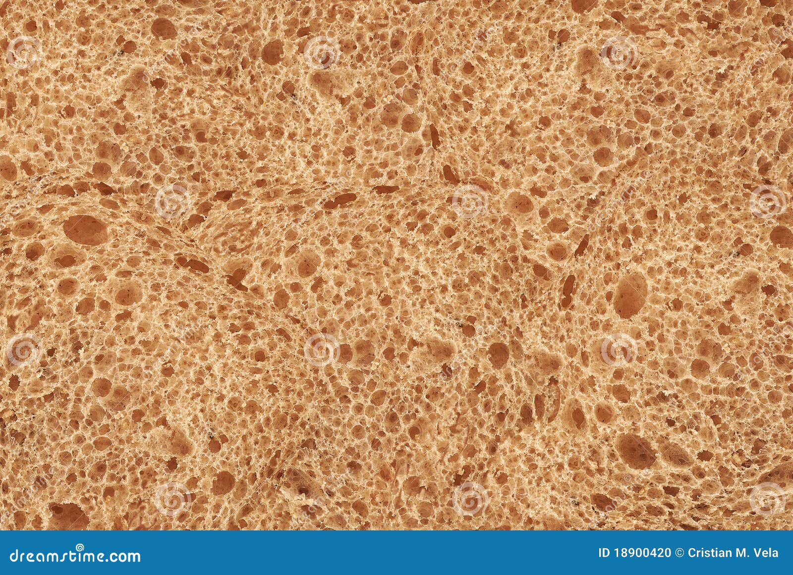 Bread texture stock photo. Image of wheat, sponge, bread - 18900420