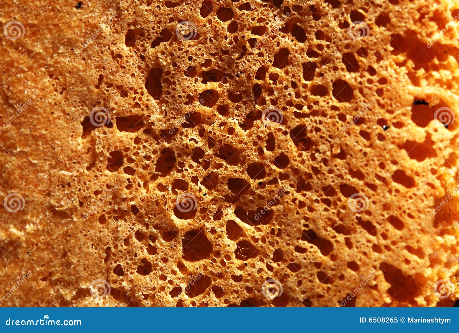 Bread Texture stock image. Image of view, abstract, detail - 6508265