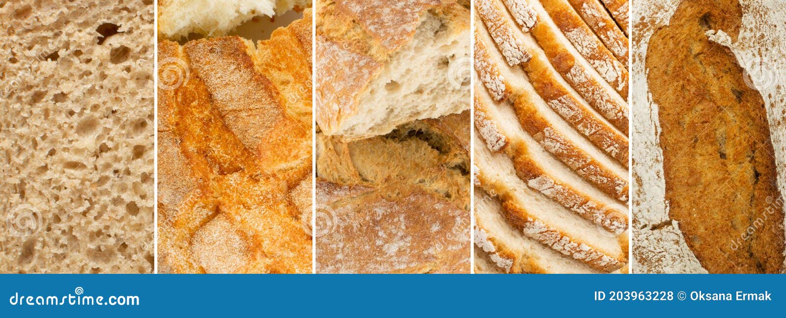 Collage With Sourdough Starter And Different Freshly Baked Bread ...