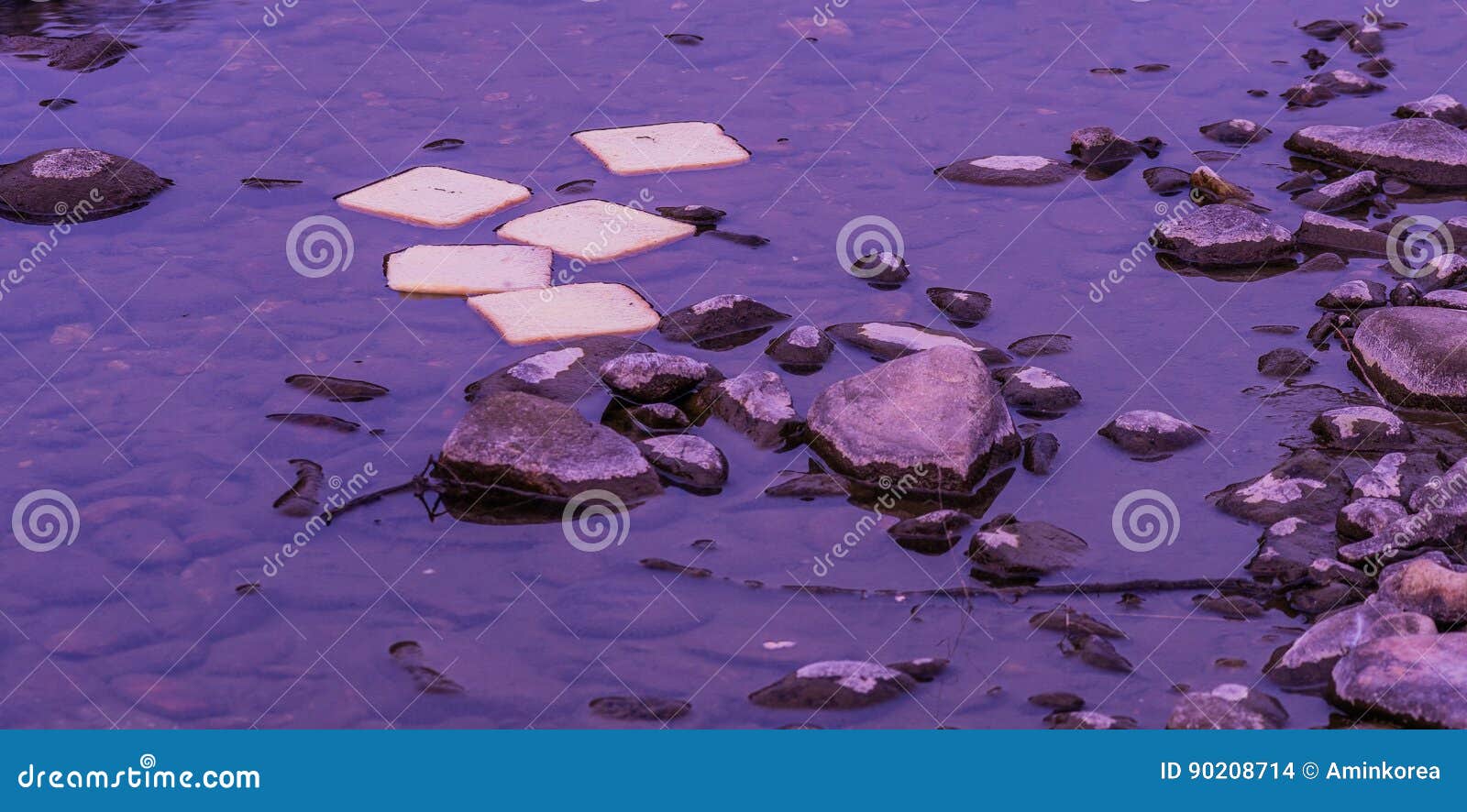 Bread in the water stock photo. Image of rural, litter - 90208714