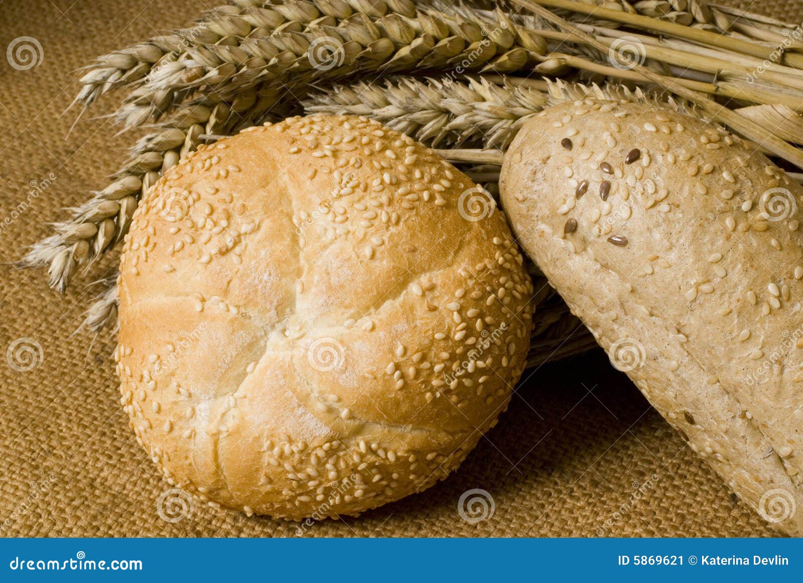 Bread and wheat stock image. Image of nutritious, organic - 5869621