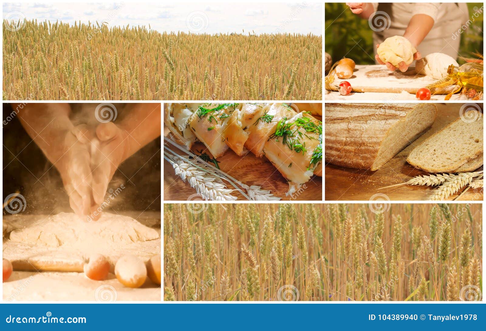 Bread Wheat Collage Concept Stock Photo - Image of flour, grain: 104389940