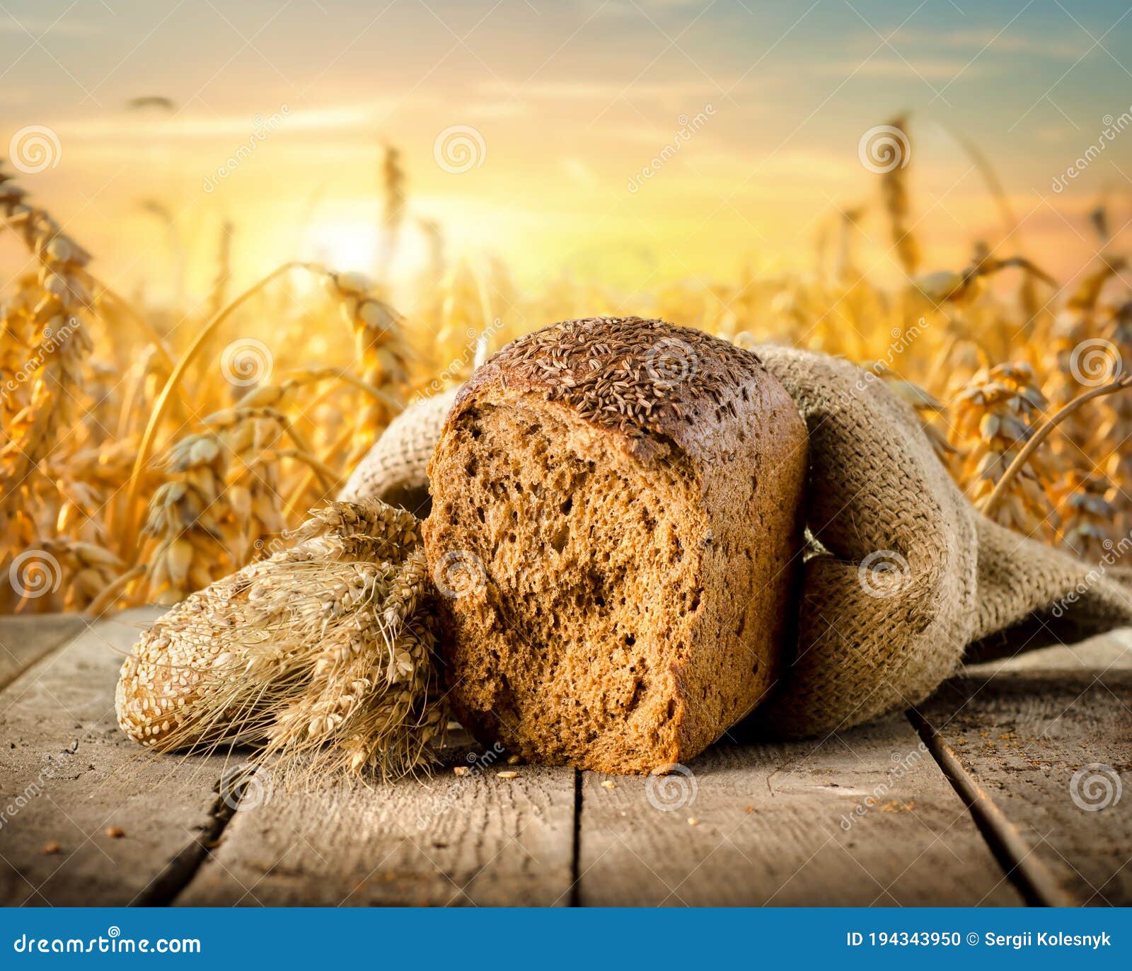 Bread and wheat field stock photo. Image of field, country - 194343950
