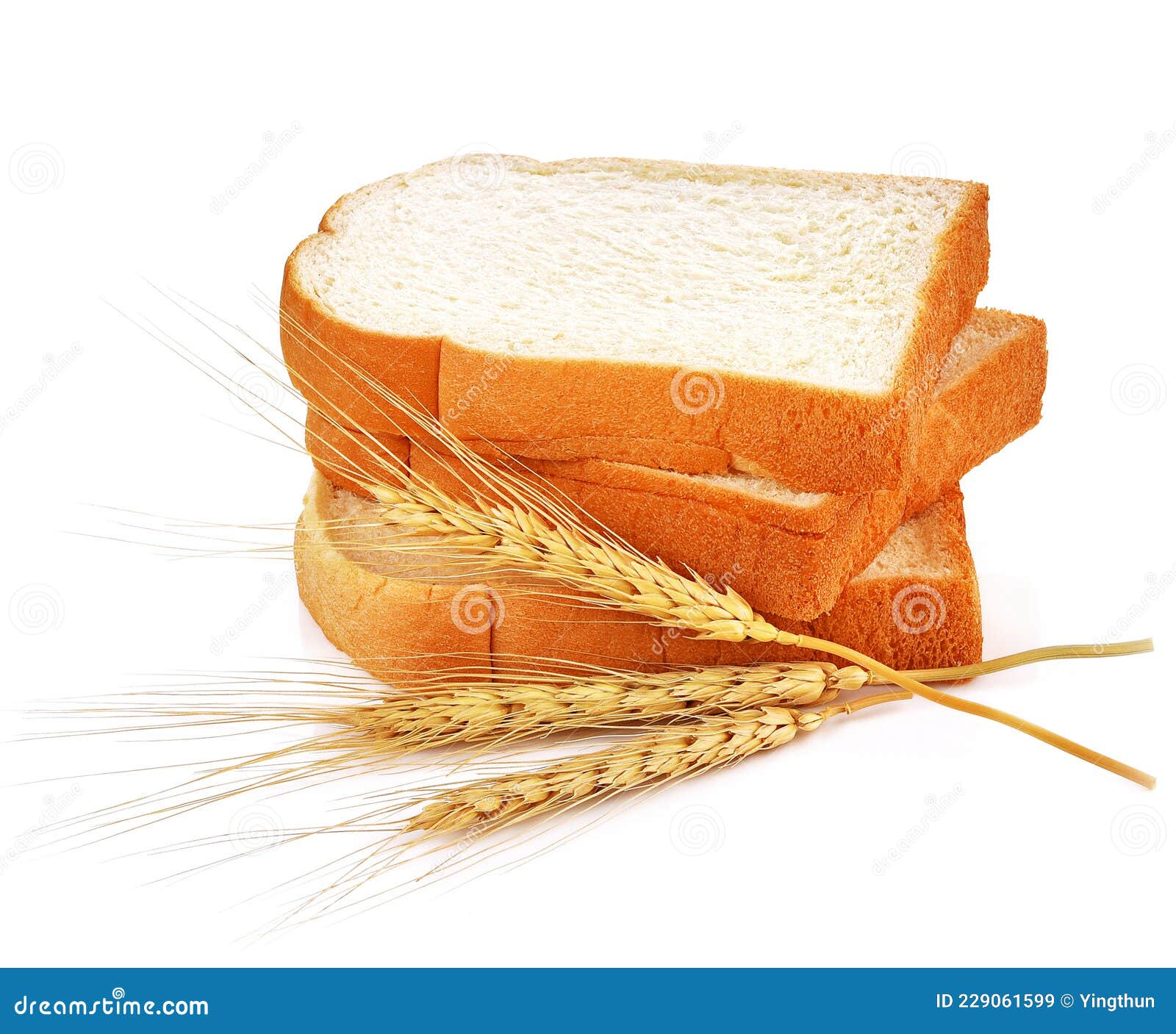 Bread, Wheat Isolated on White Background Stock Image - Image of yellow ...