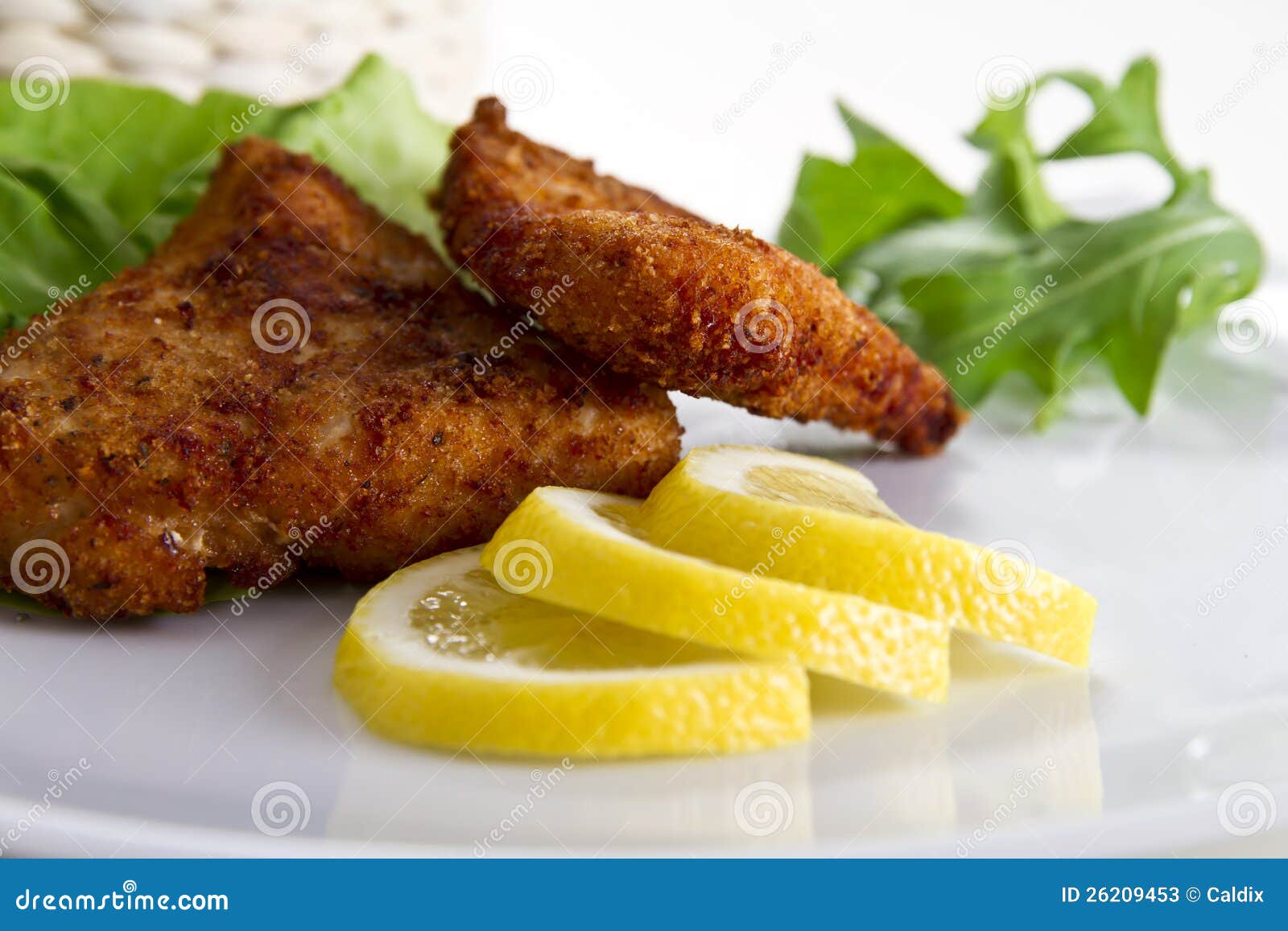Breaded meat stock image. Image of fillet, breast, lettuce - 26209453