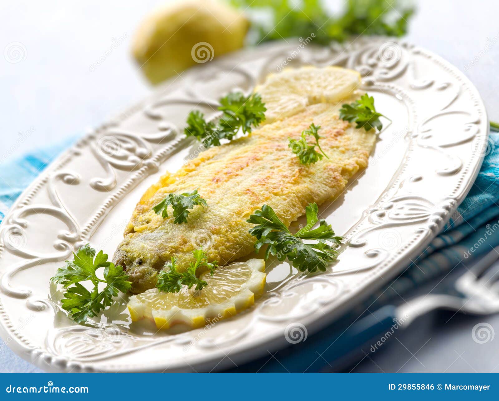 Breaded sole fish stock photo. Image of fish, herb, lunch - 29855846