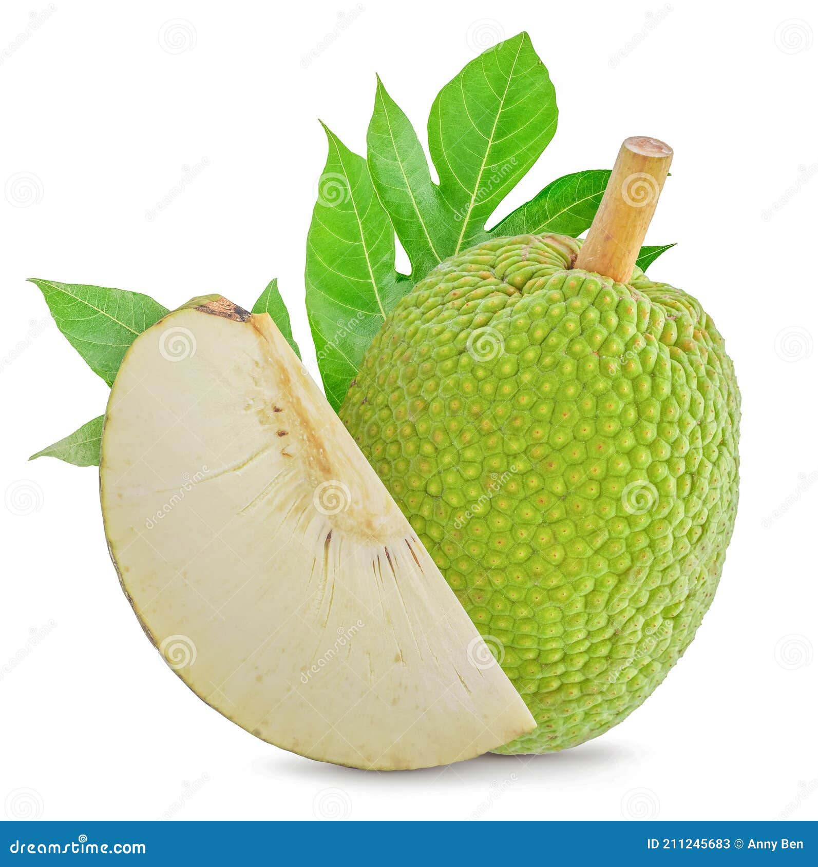 Breadfruit Isolated Cut Out On White Background Royalty-Free Stock ...
