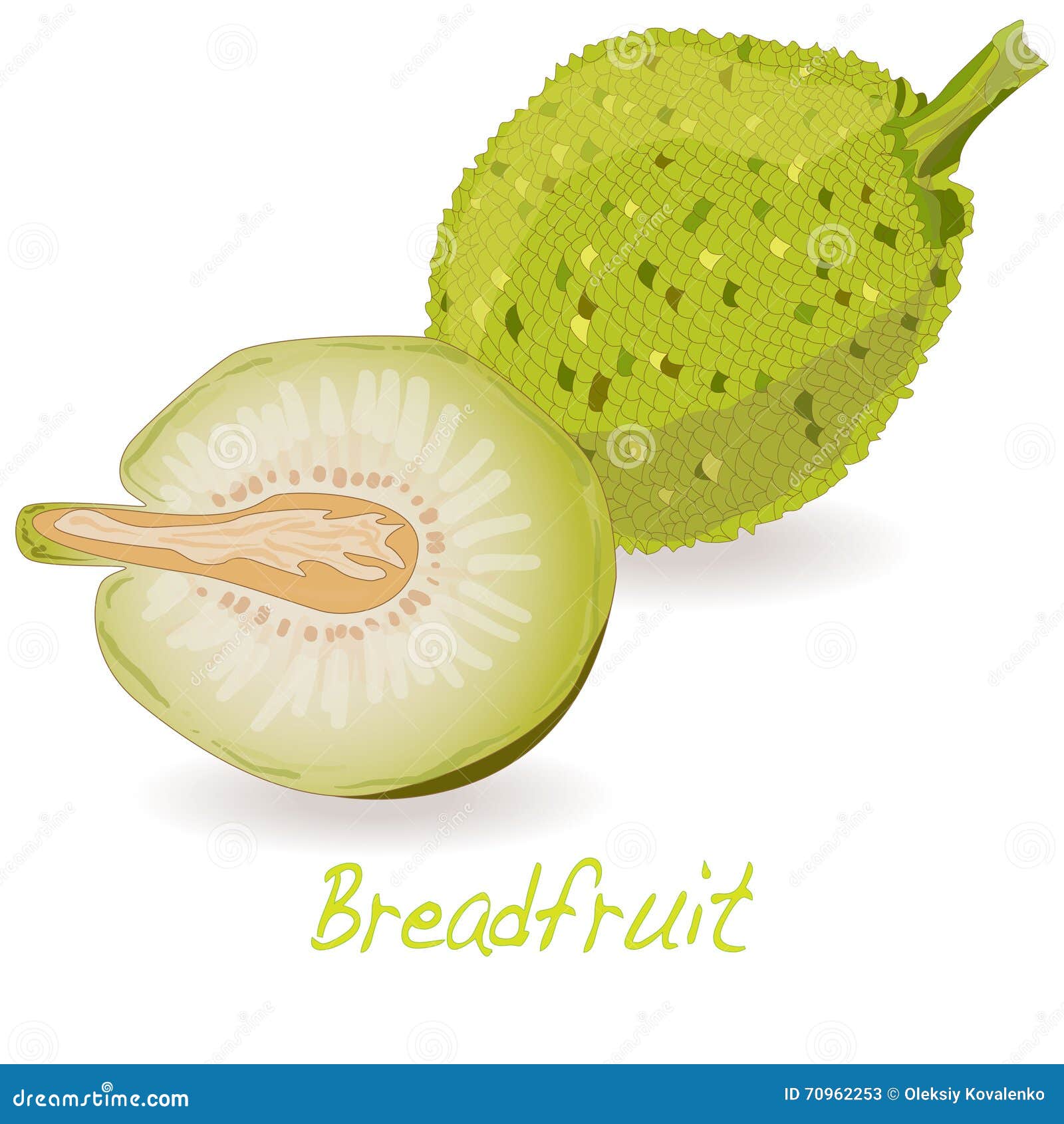 Breadfruit Cartoons, Illustrations & Vector Stock Images - 1348 ...