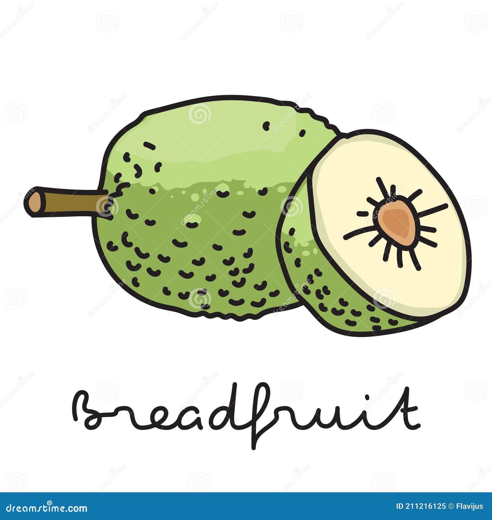 Breadfruit on White Background Stock Vector - Illustration of ...