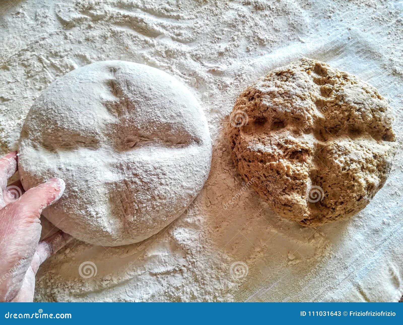 Bread Forms Kneaded Ready for the Oven Stock Image - Image of diet ...