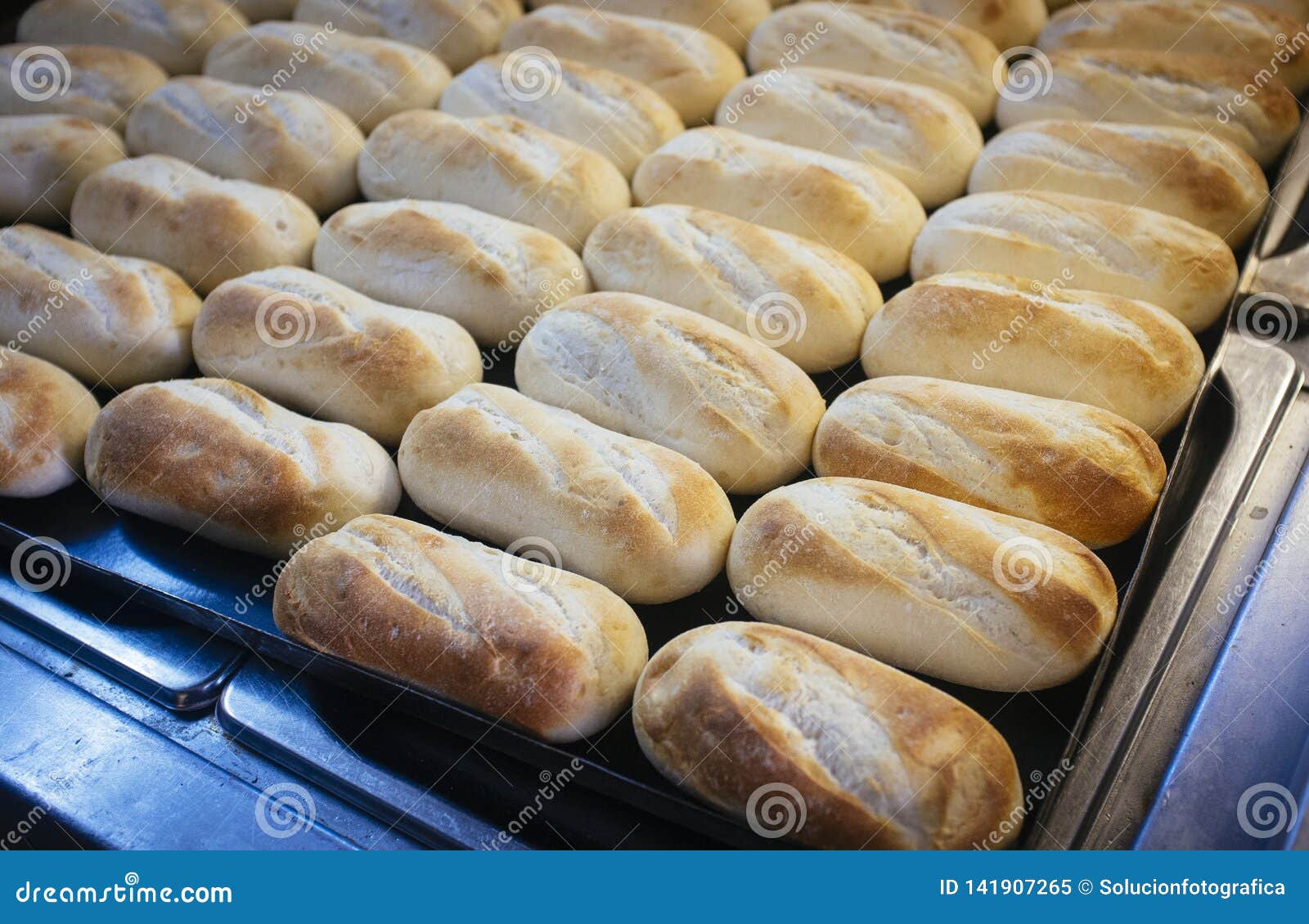 Breads stock image. Image of bread, professional, baked - 141907265