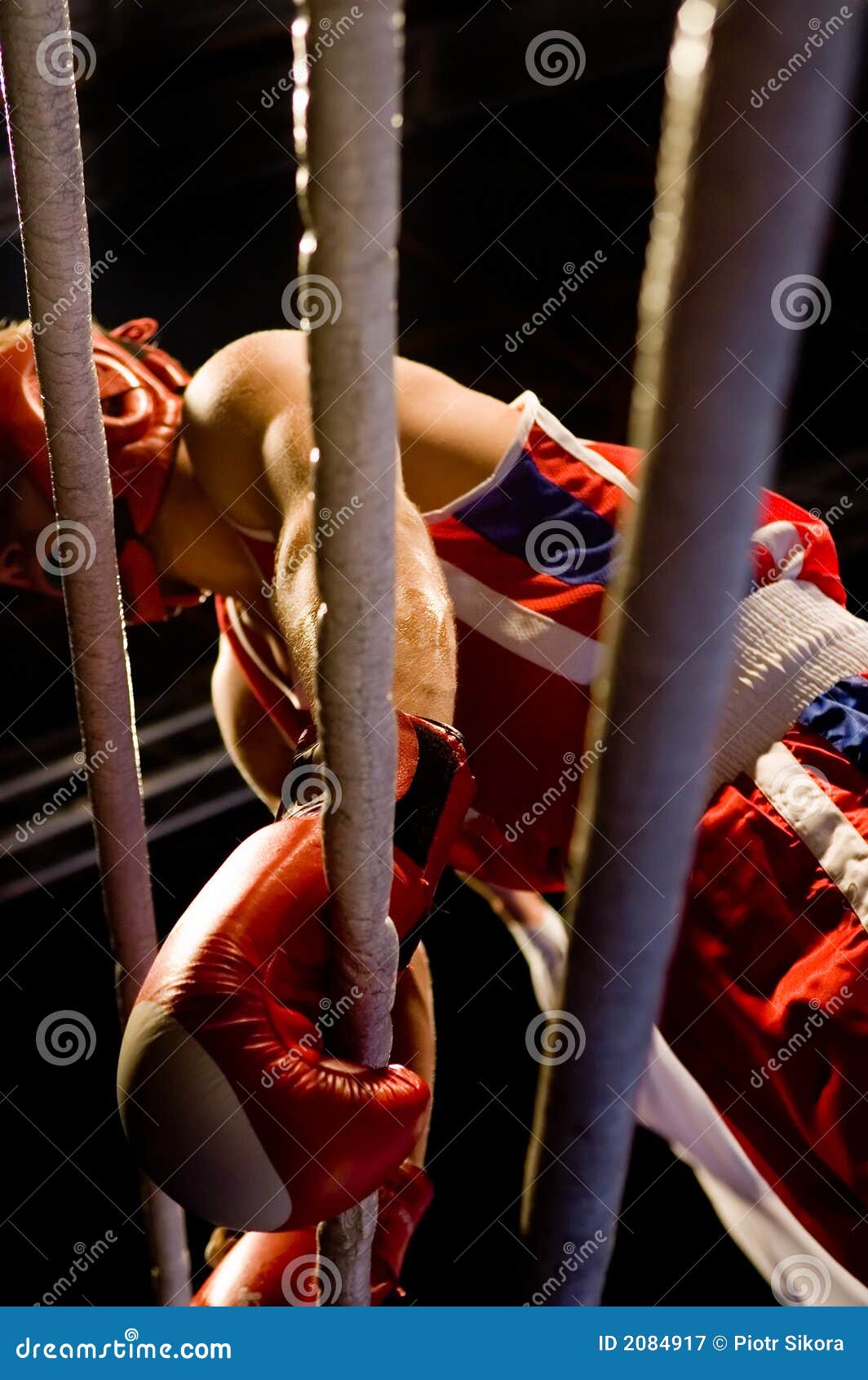 Break in Exhausting Boxing Fight Stock Image - Image of round, powerful ...