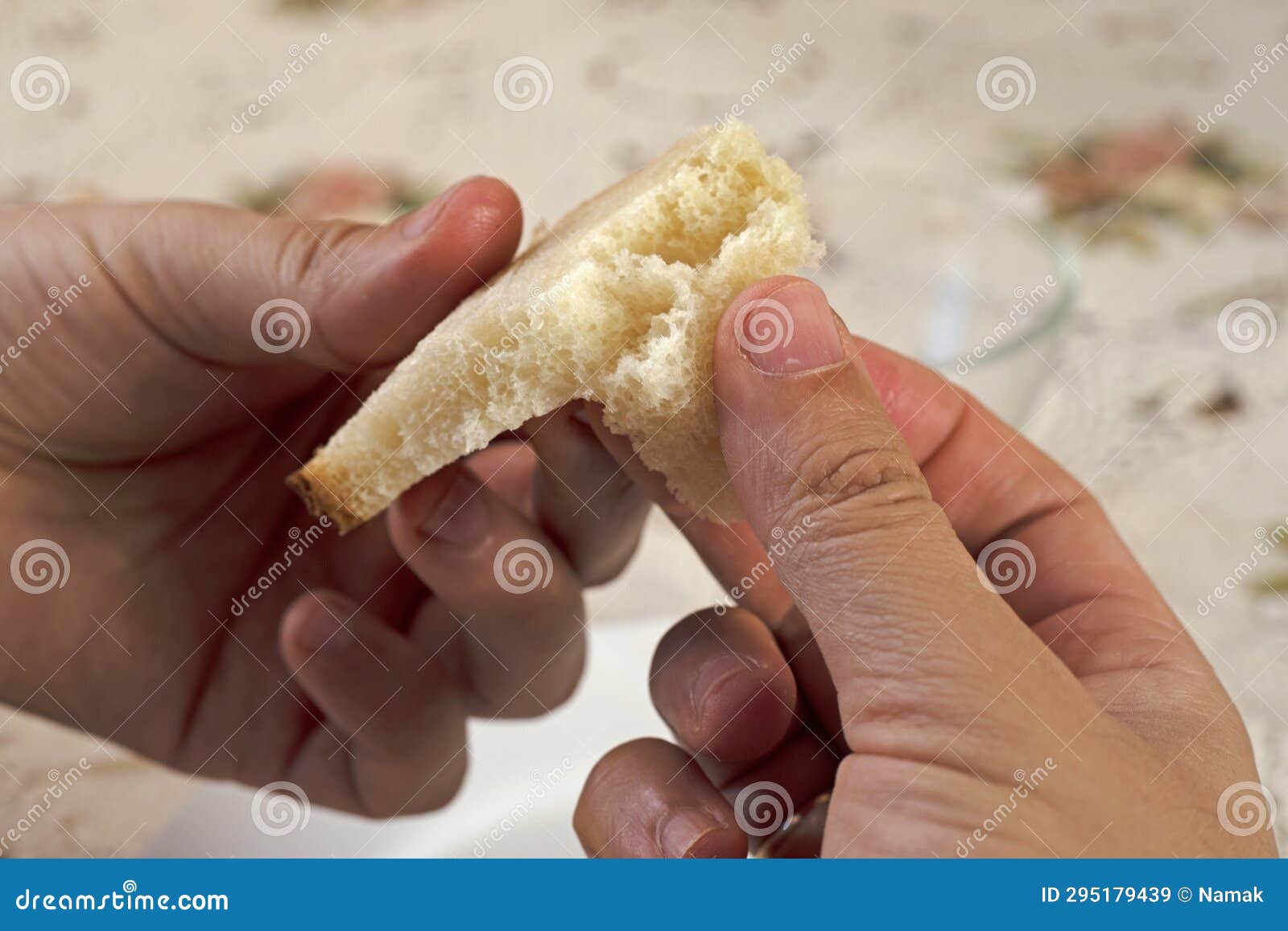 Break in Your Hands a Small Piece of White Sourdough Bread Made from ...