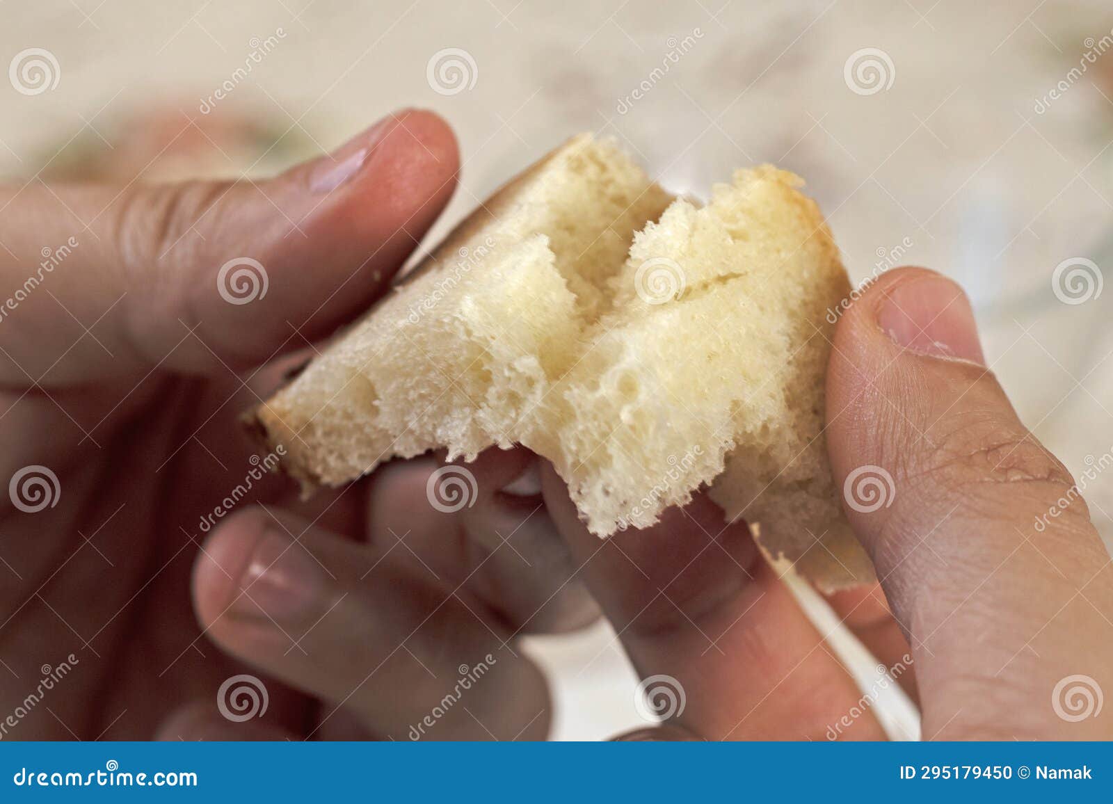 Break in Your Hands a Small Piece of White Sourdough Bread Made from ...